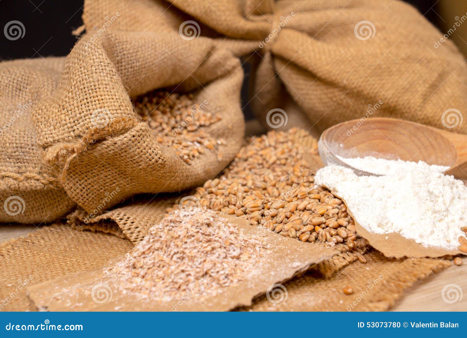 Wheat Grains, Bran and Flour. Stock Photo - Image of organic, sack ...