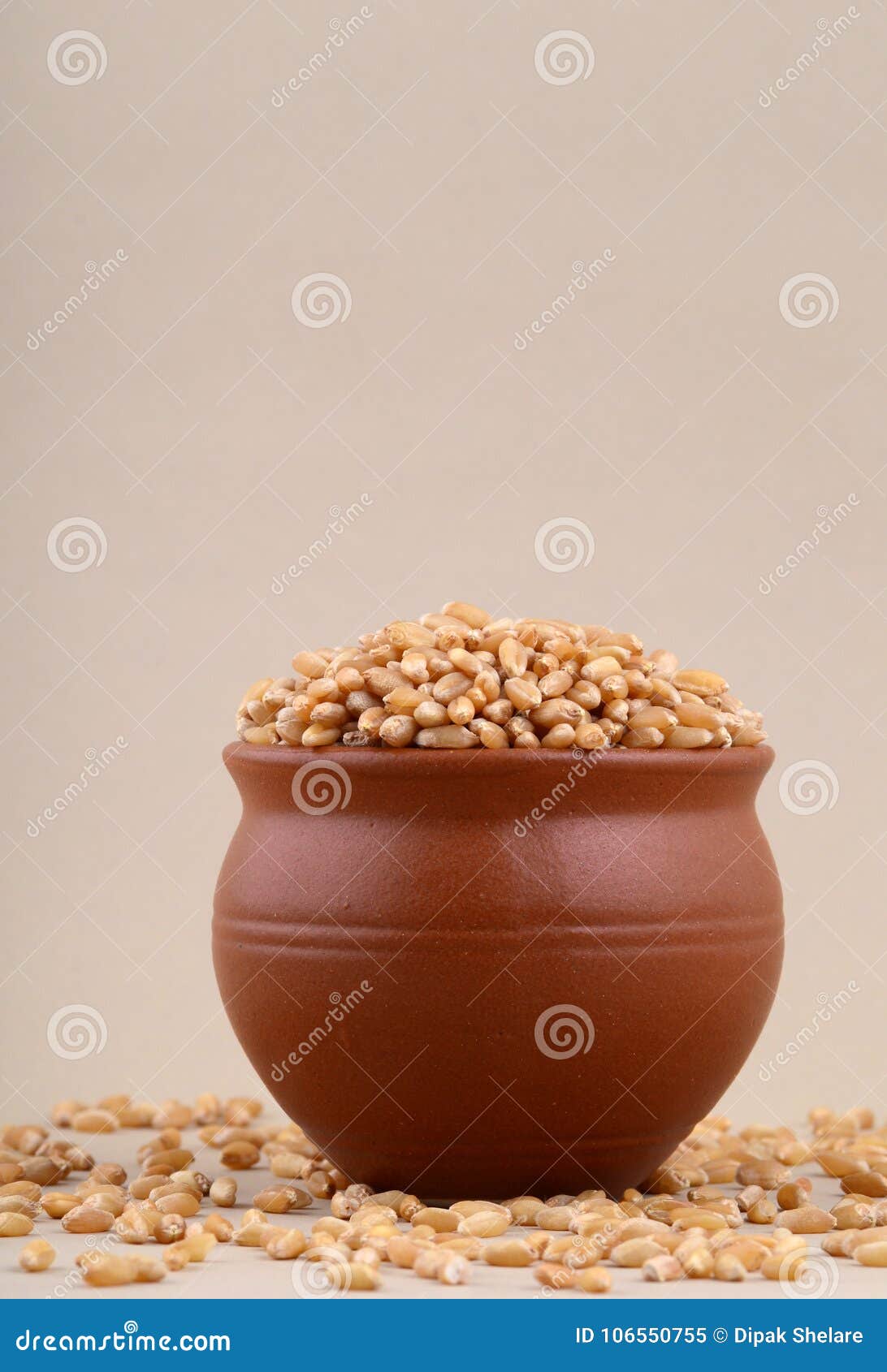 Wheat grains in clay pot stock image. Image of field - 106550755