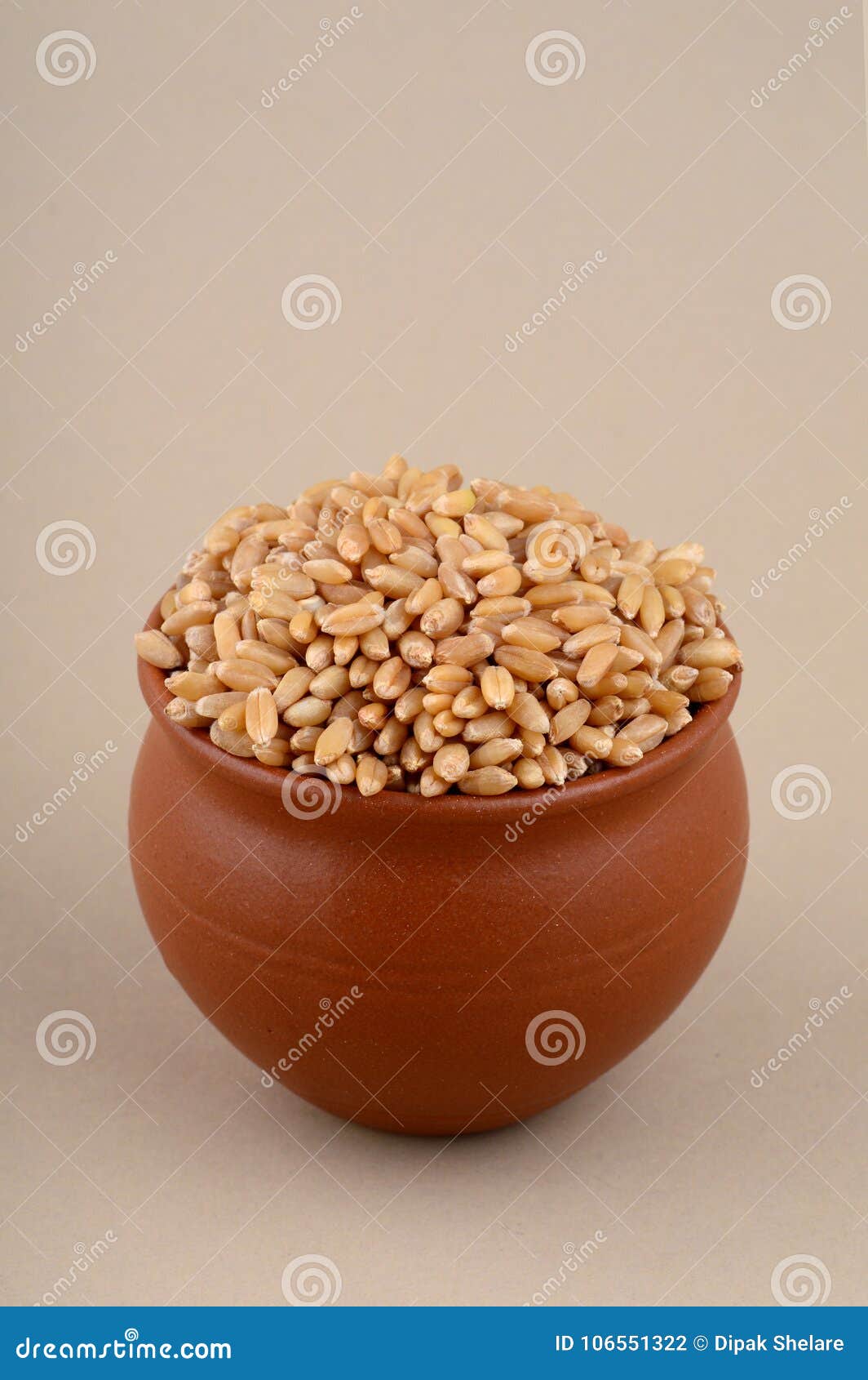 Wheat grains in clay pot stock photo. Image of biology - 106551322