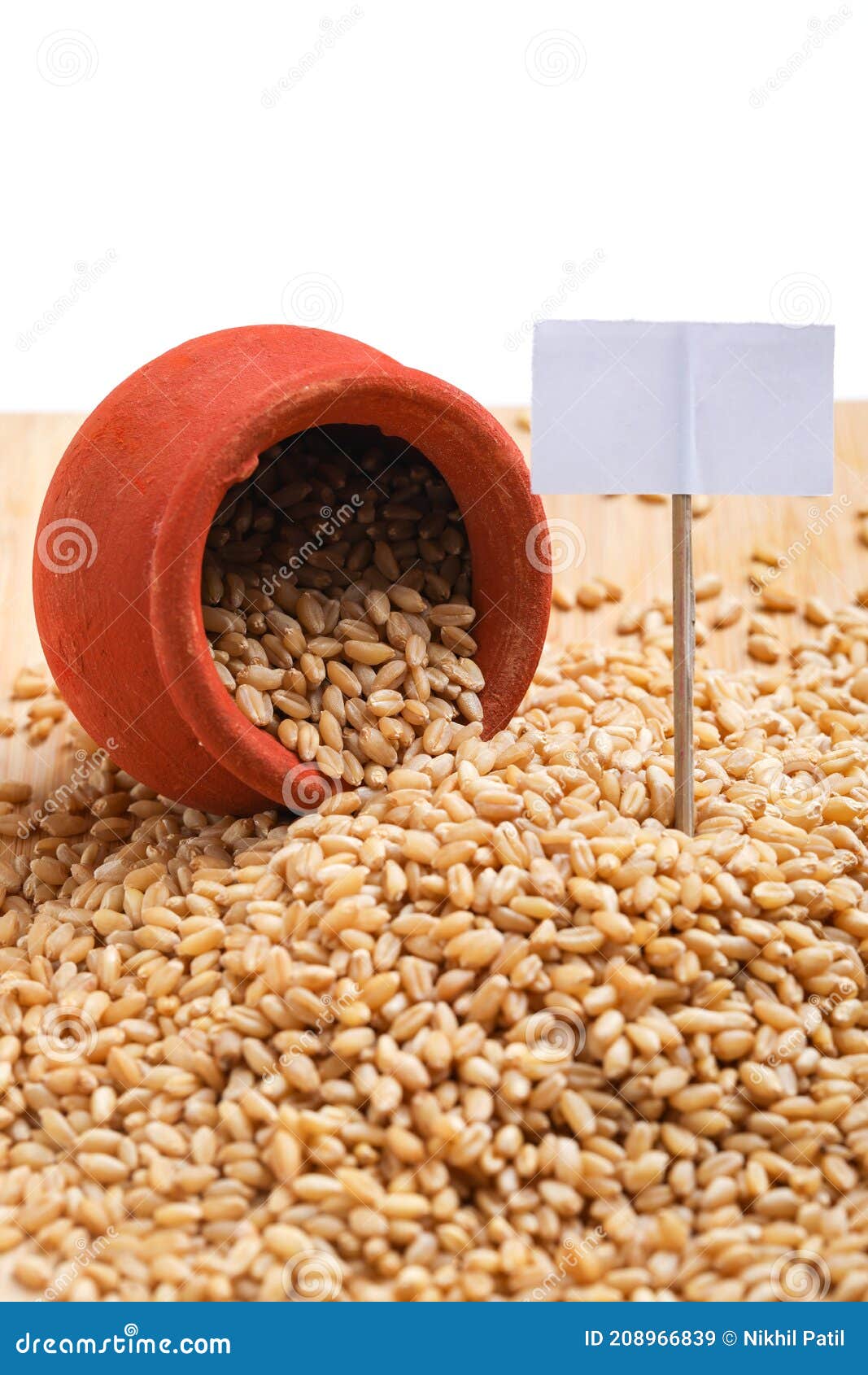 Wheat Grains in Clay Pot on White Background Stock Image - Image of ...