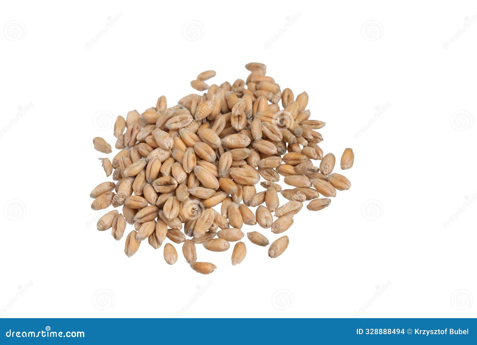 Wheat Grains Isolated on White Background Editorial Stock Image - Image ...