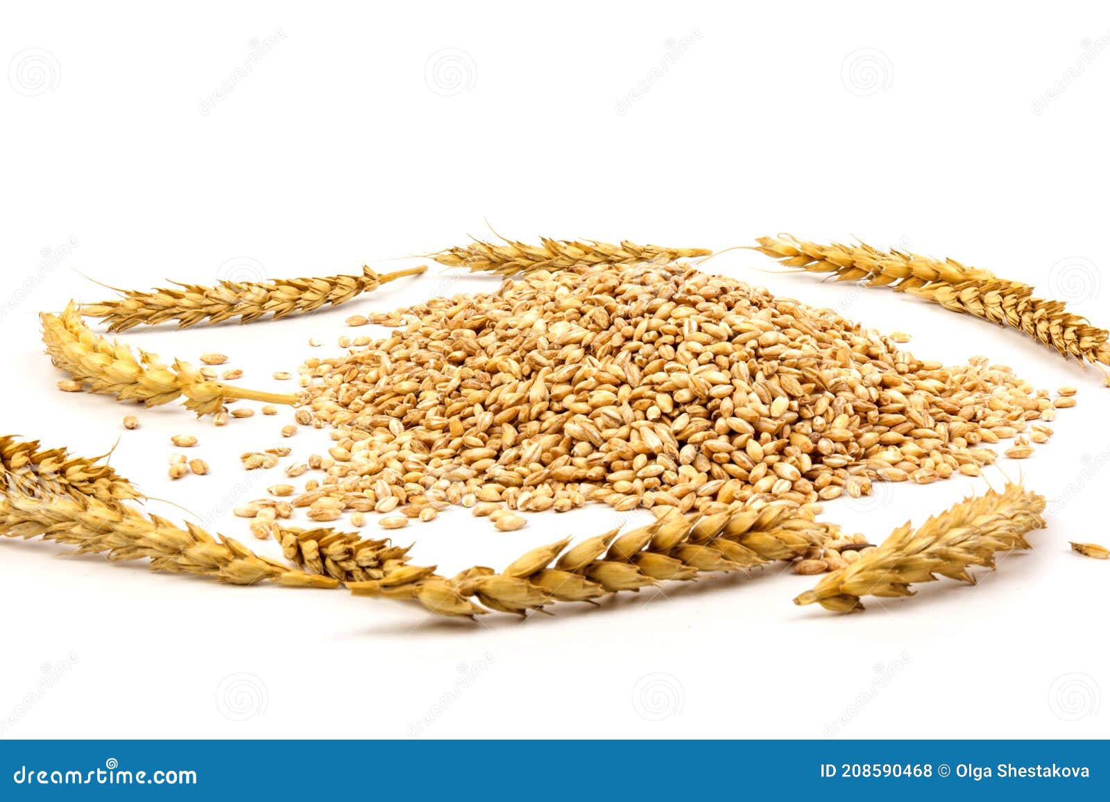 Wheat Grains Isolated on White Background with Clipping Path, Close-up ...