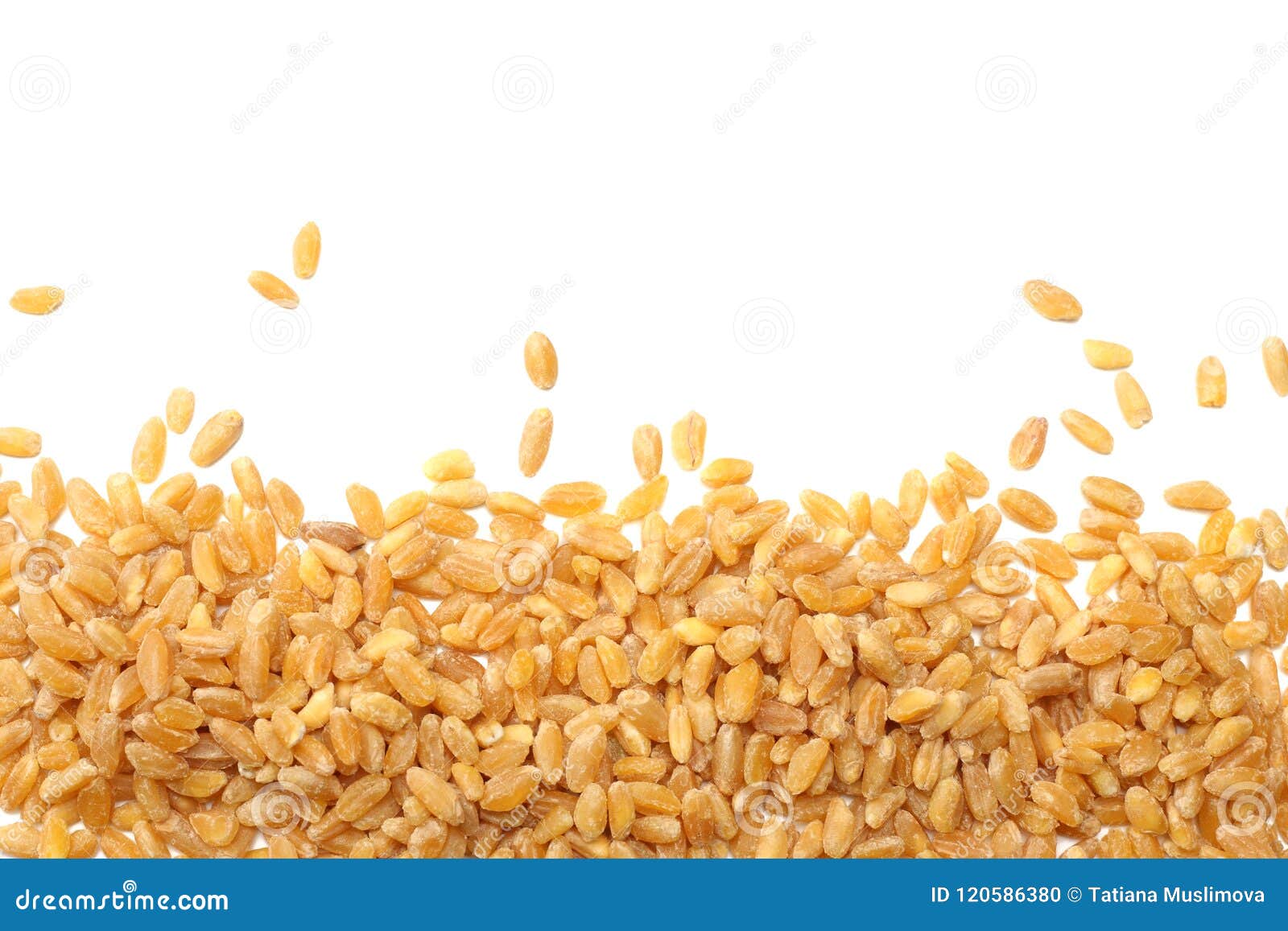 Wheat Grains Isolated on White Background. Top View Stock Photo - Image ...