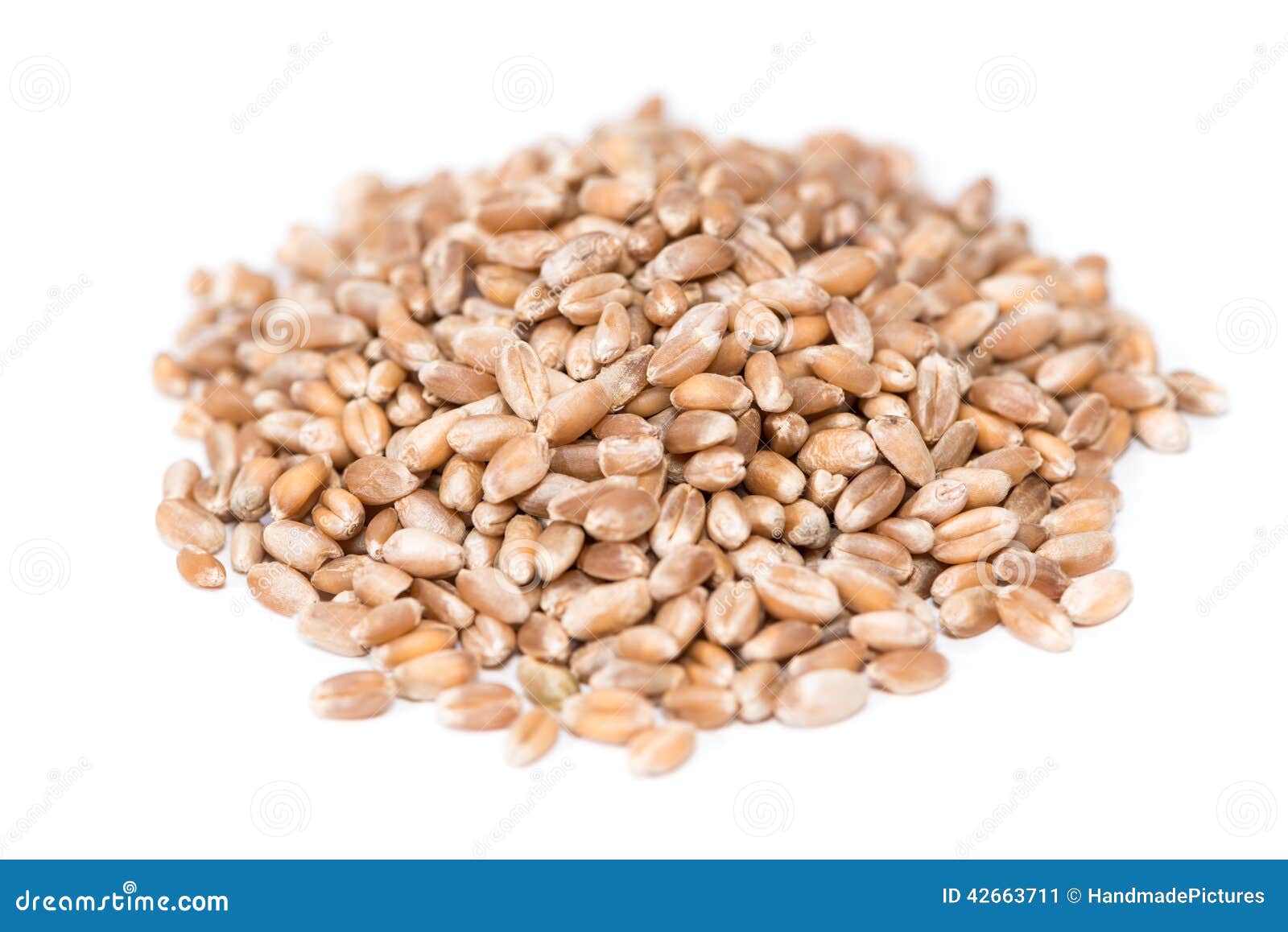 Wheat Grains (isolated on White) Stock Image - Image of corn, macro ...