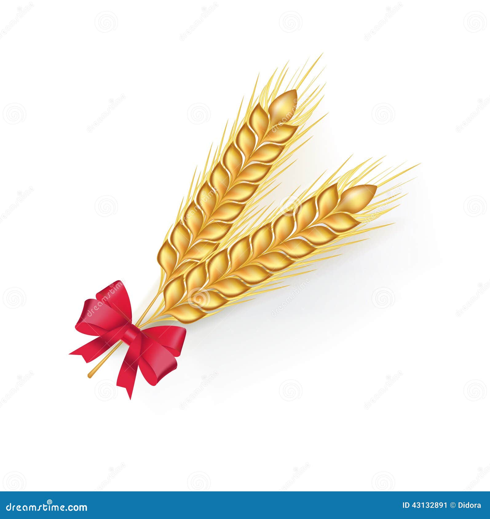 Wheat Grains with Red Ribbon Stock Vector - Illustration of vector ...