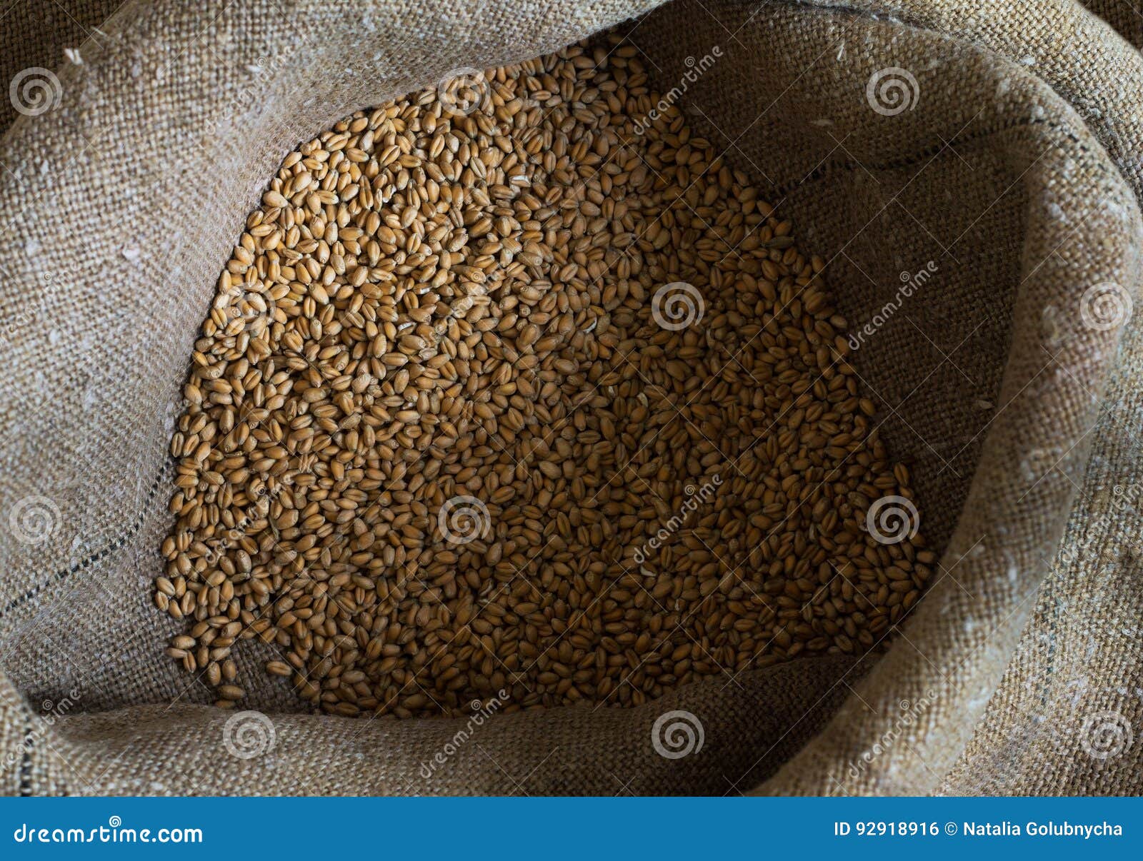 Wheat grains in a sack stock photo. Image of cereal, place - 92918916