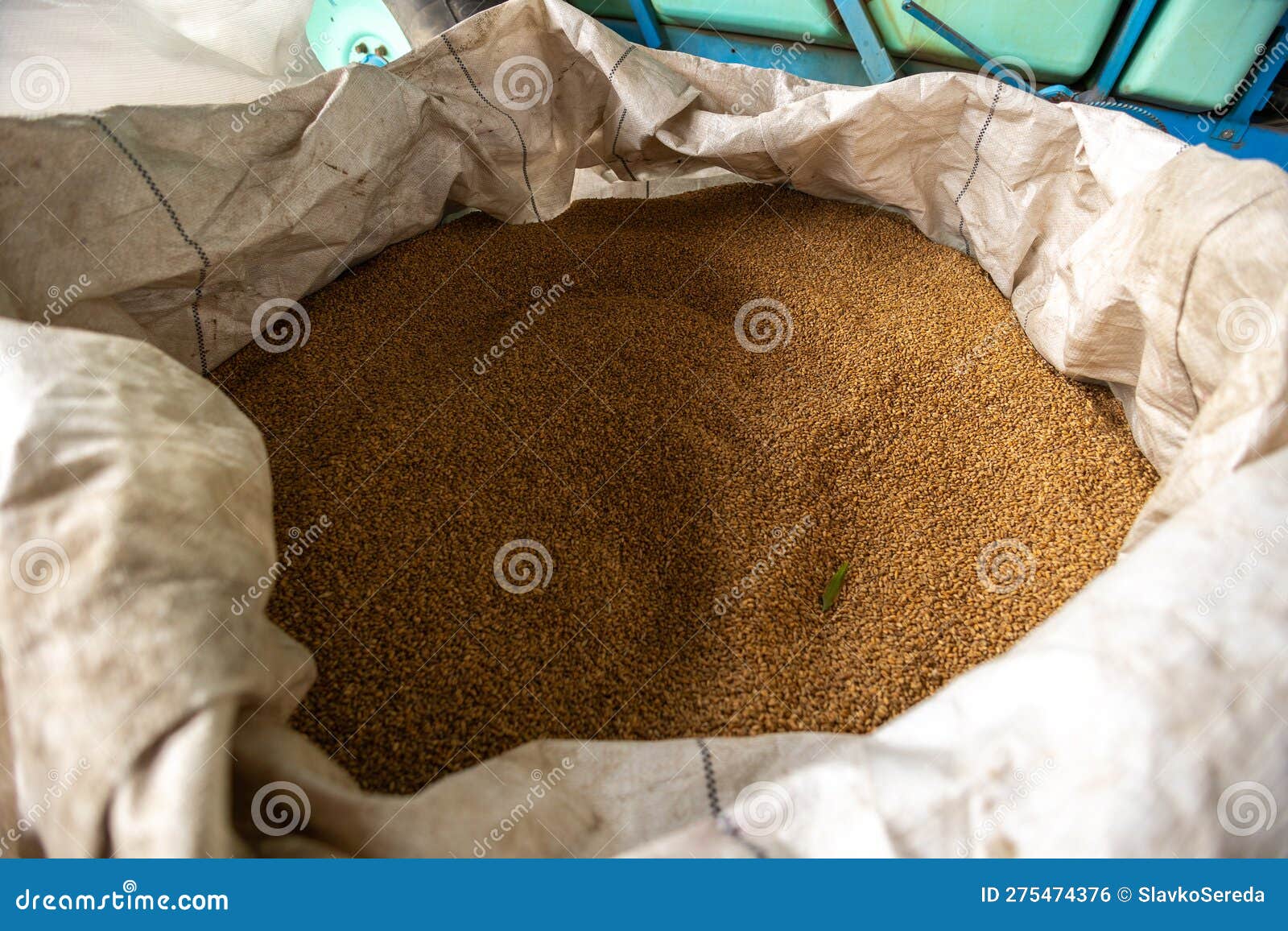 Wheat Grains in Sack at Mill Storage or Grain Elevator. the Main ...