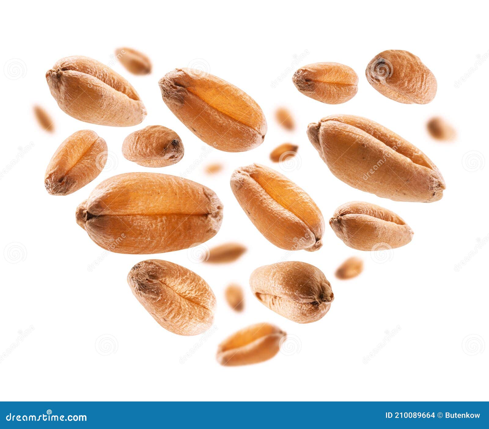 Wheat Grains in the Shape of a Heart on a White Background Stock Photo ...