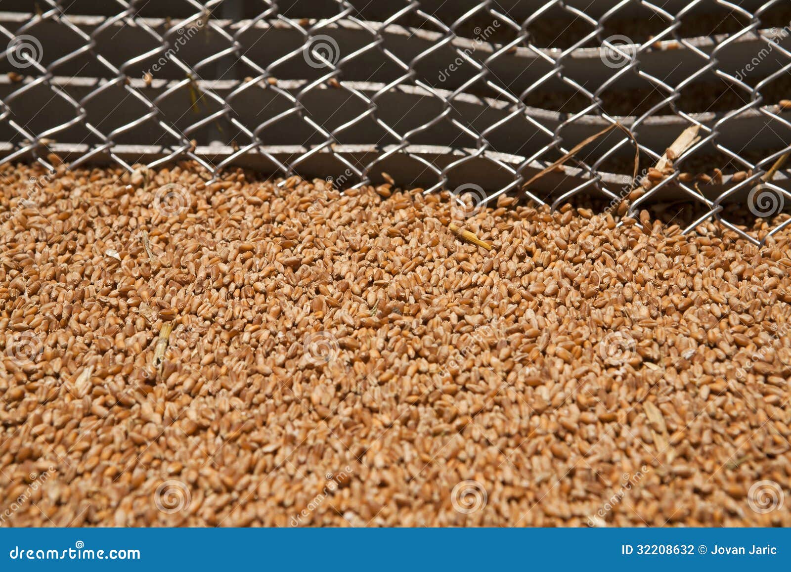 Wheat Grains on the Silo Grid Stock Photo - Image of crop, metal: 32208632