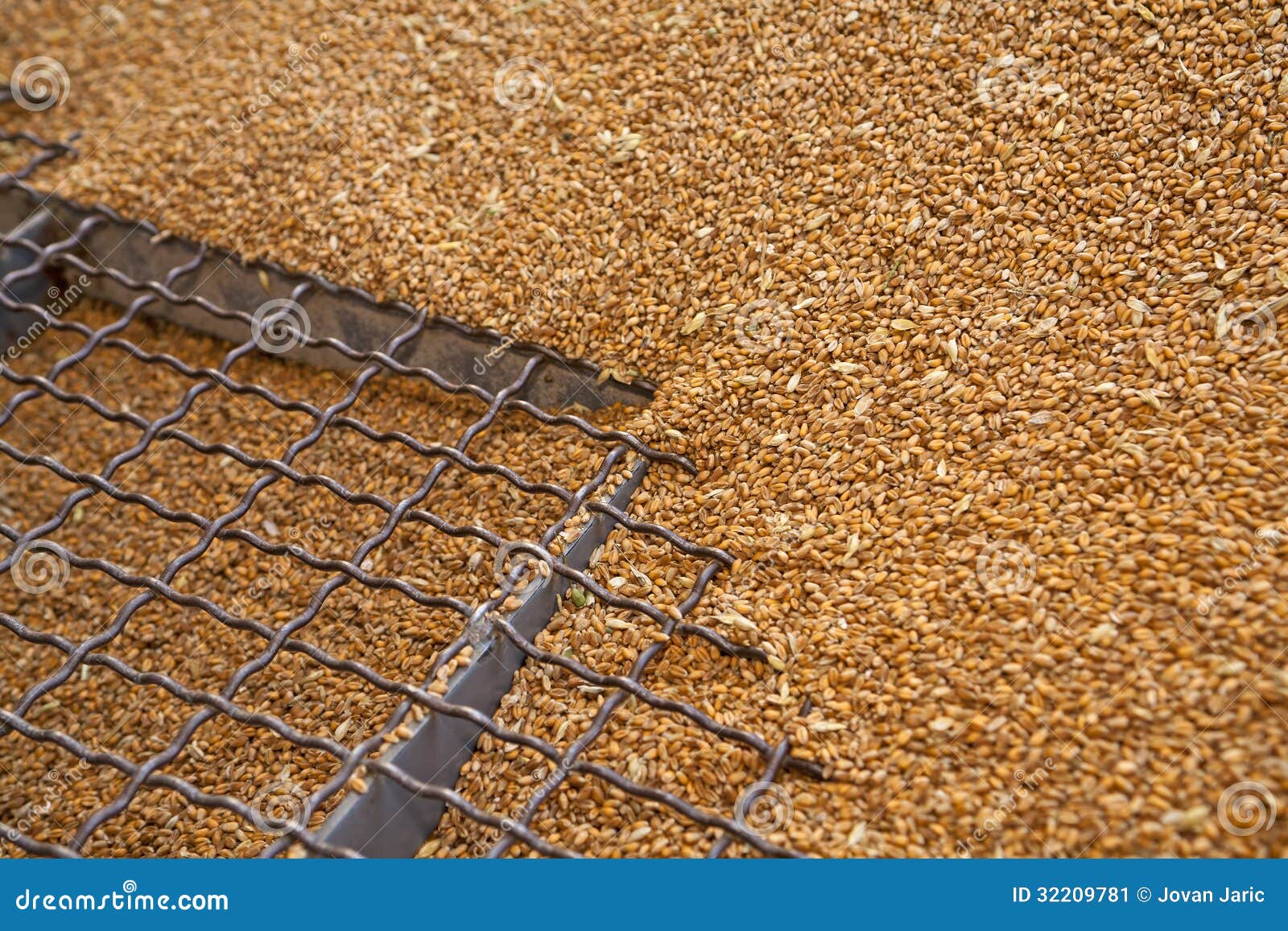 Wheat Grains on the Silo Grid Stock Image - Image of outdoors ...