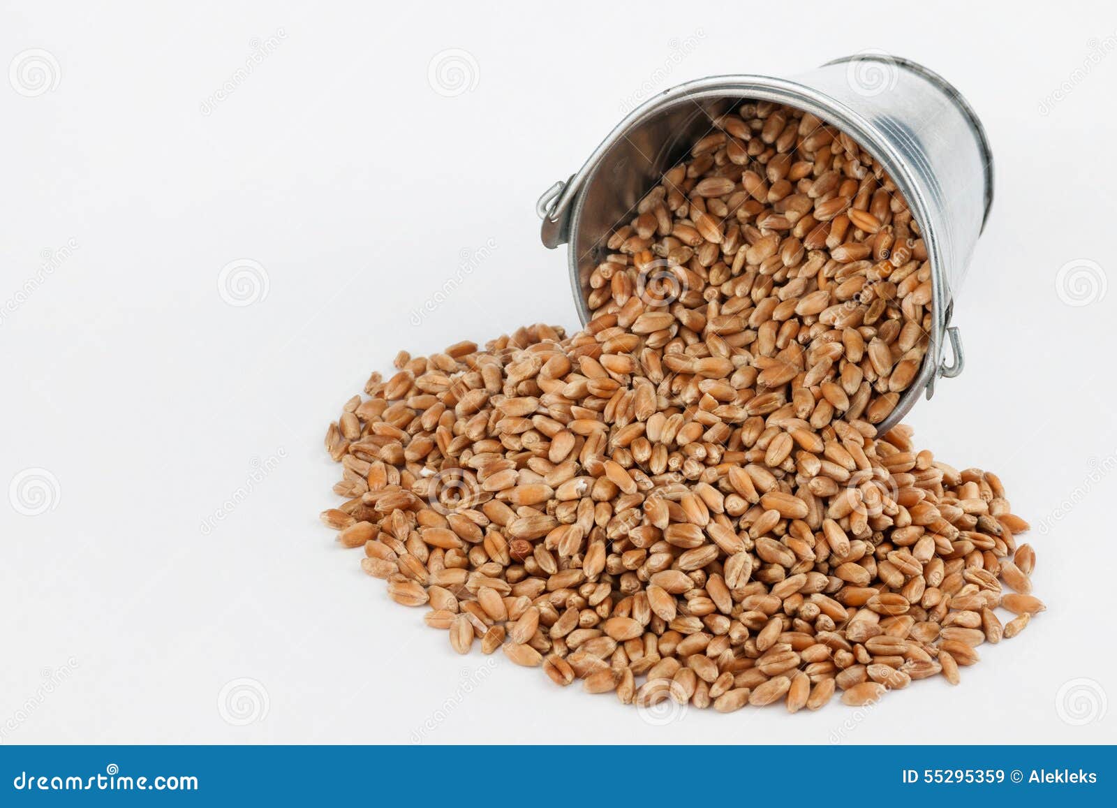 Wheat Grains Spilling Out of Bucket Stock Image - Image of food, iron ...