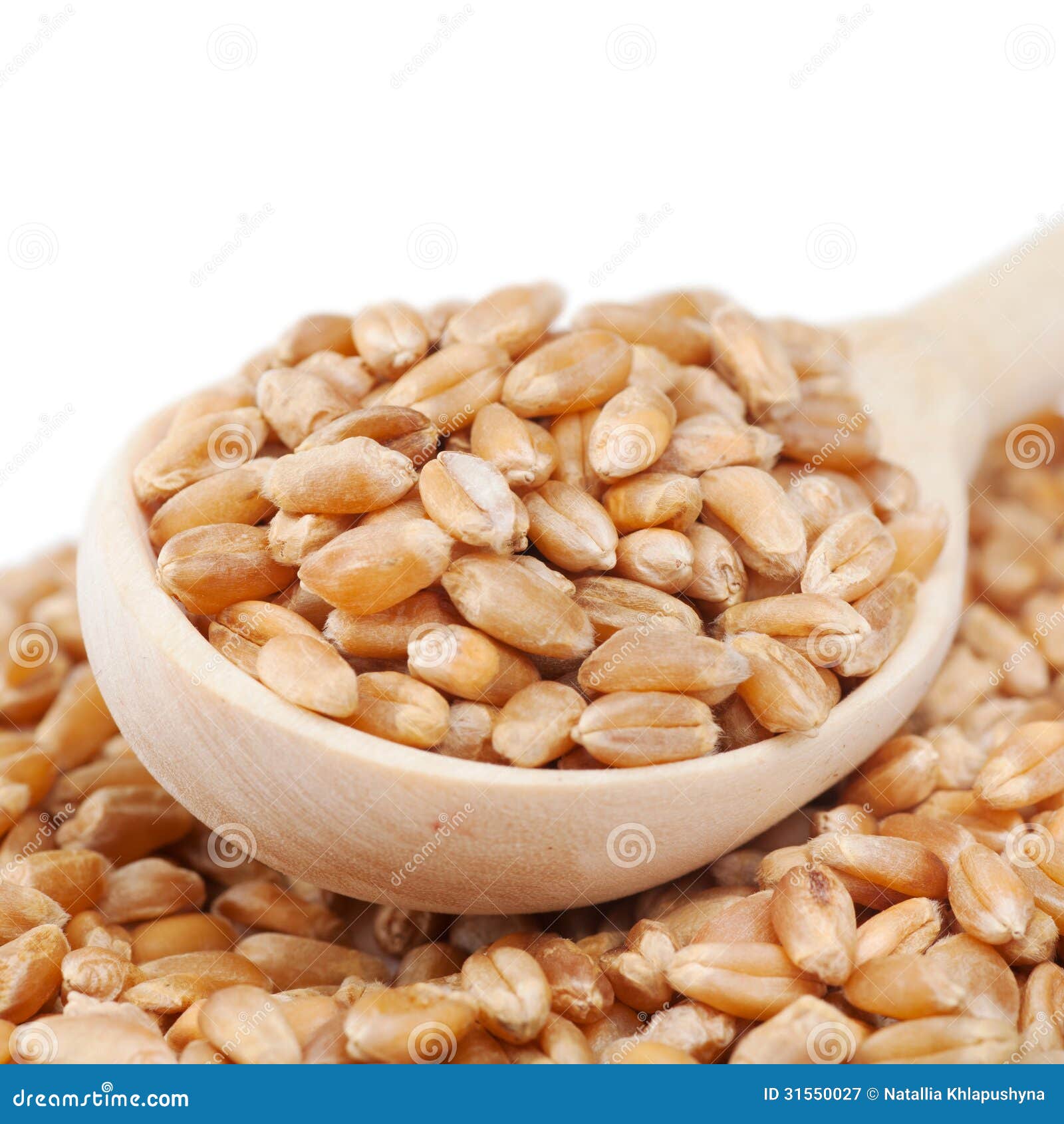 Wheat grains in spoon stock image. Image of vegetarian - 31550027