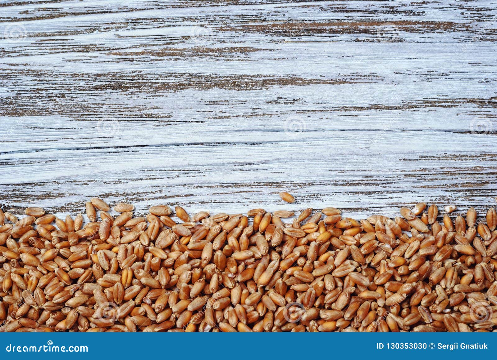 Wheat grains on table stock photo. Image of nutrition - 130353030