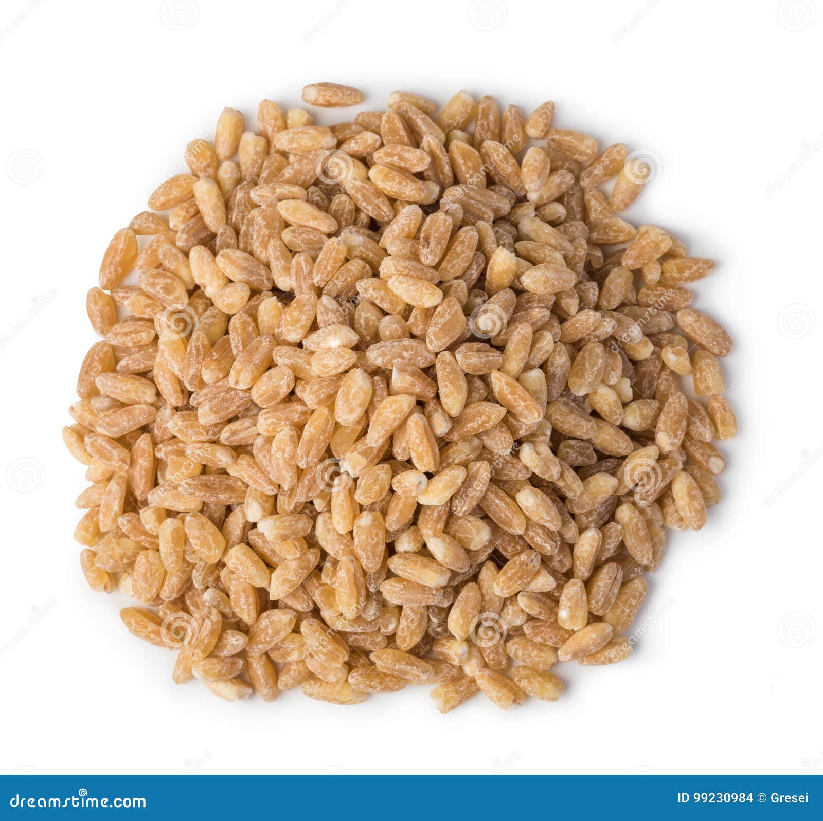 Wheat grains stock photo. Image of organic, white, barley - 99230984