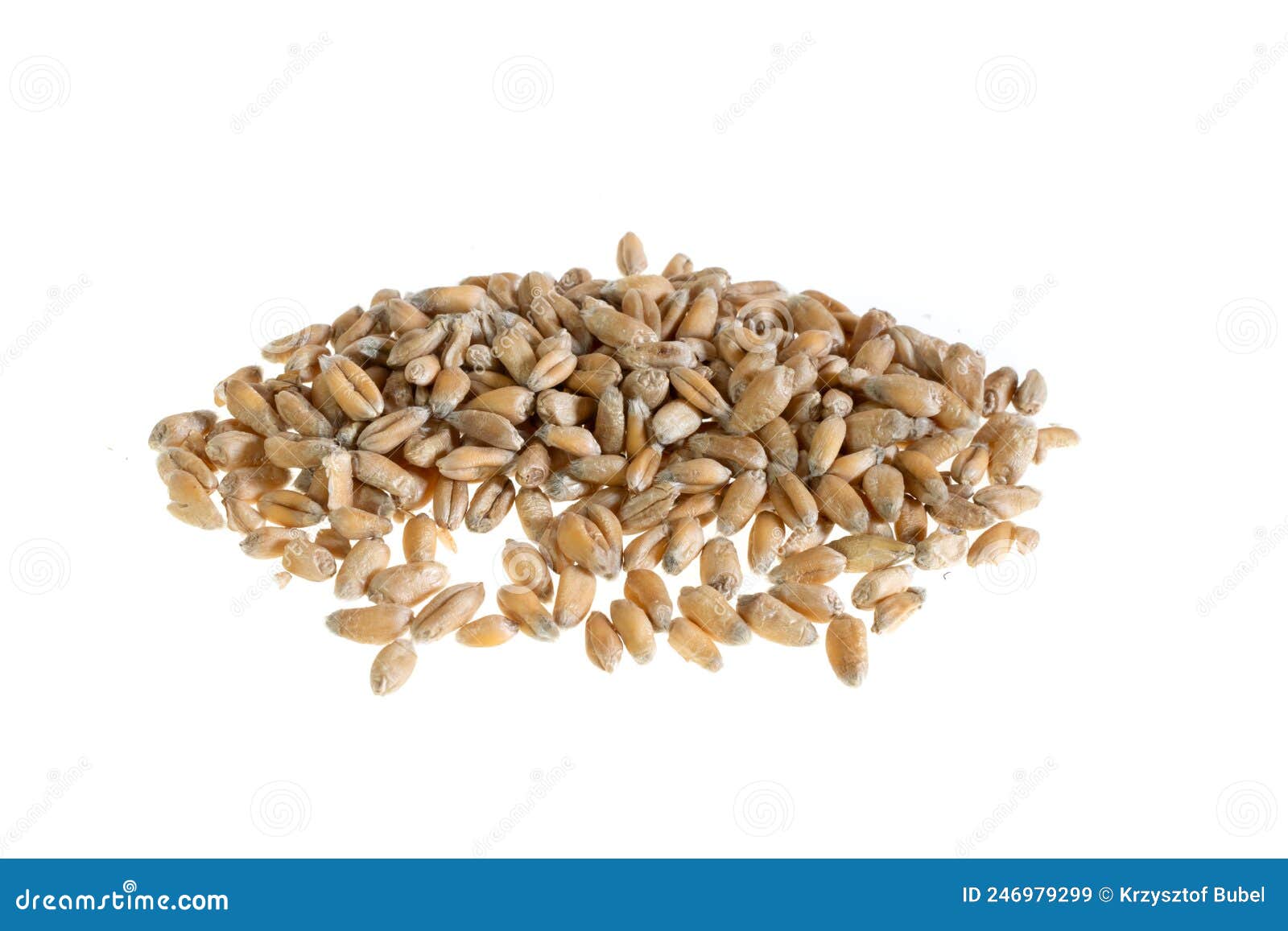 Wheat Grains on a White Isolated Background Stock Image - Image of ...