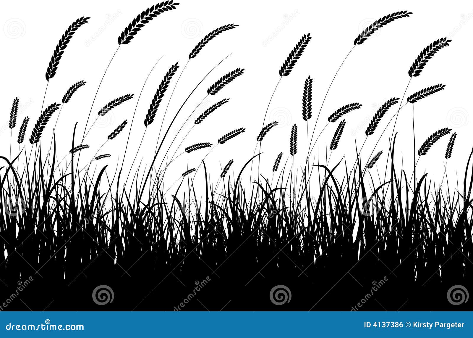 Wheat and grass stock vector. Illustration of countryside - 4137386