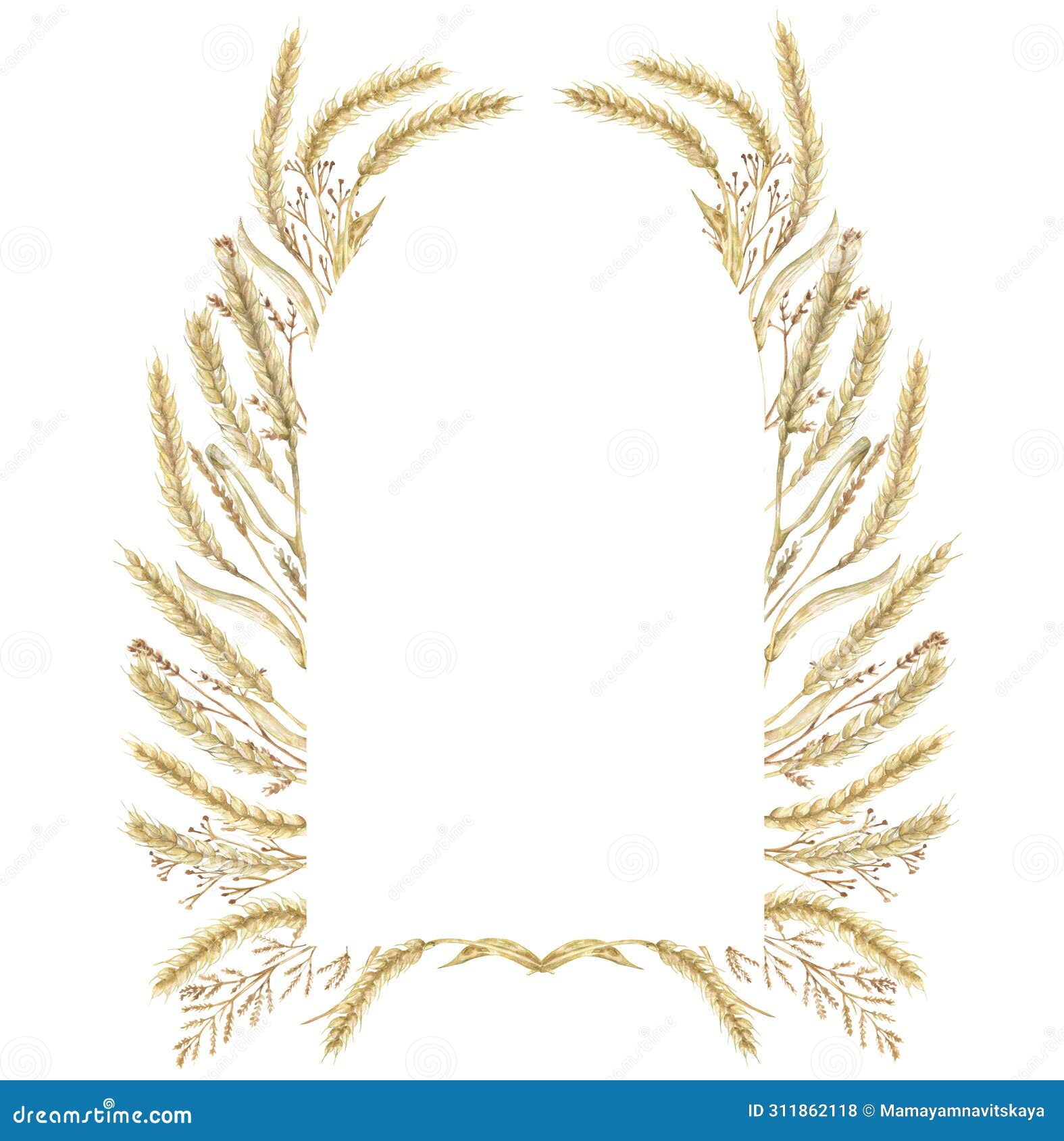 Wheat and Grass Field Border. Frame with Ears of Wheat Stock ...