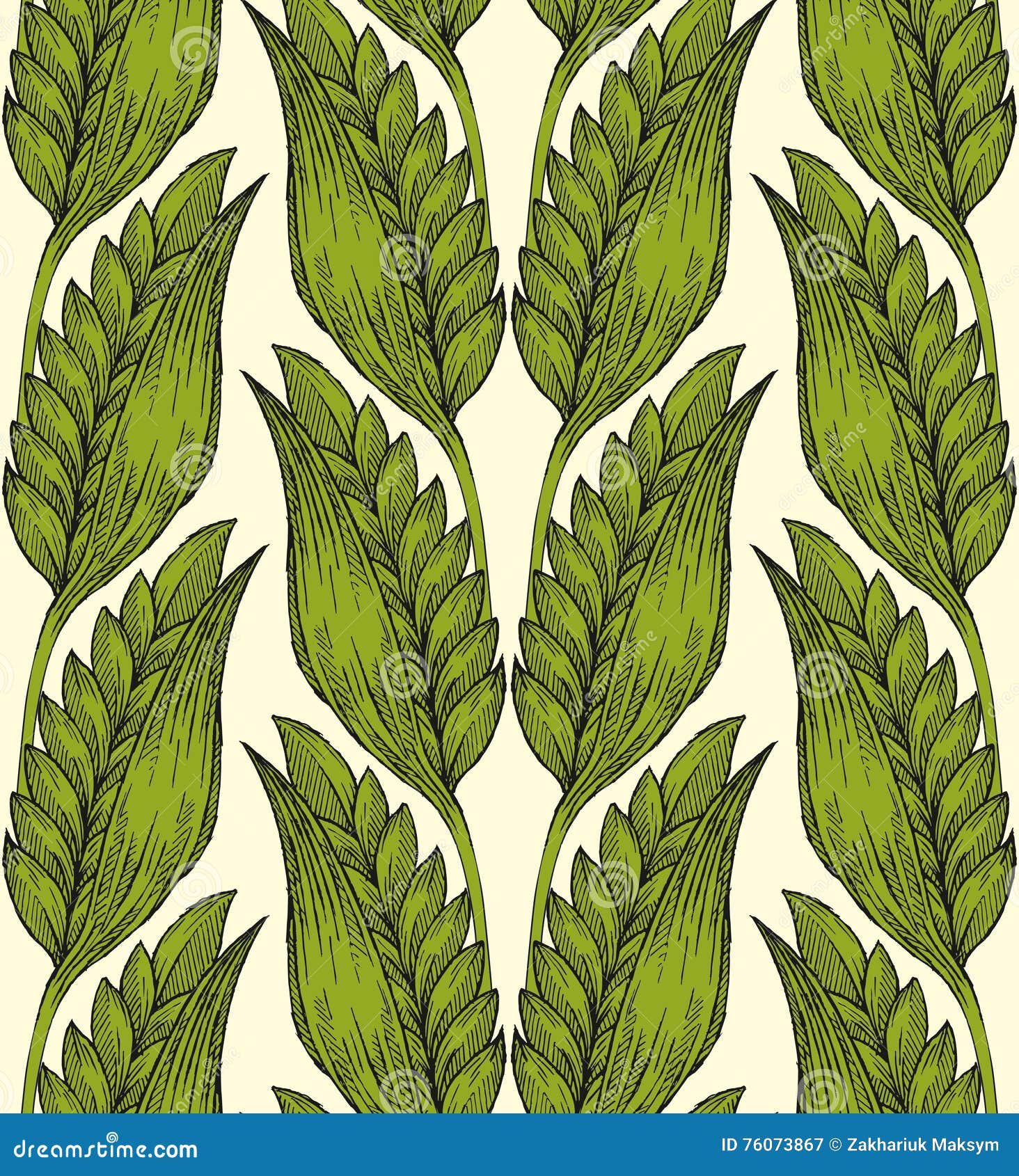 Wheat grass stock vector. Illustration of drawn, agriculture - 76073867