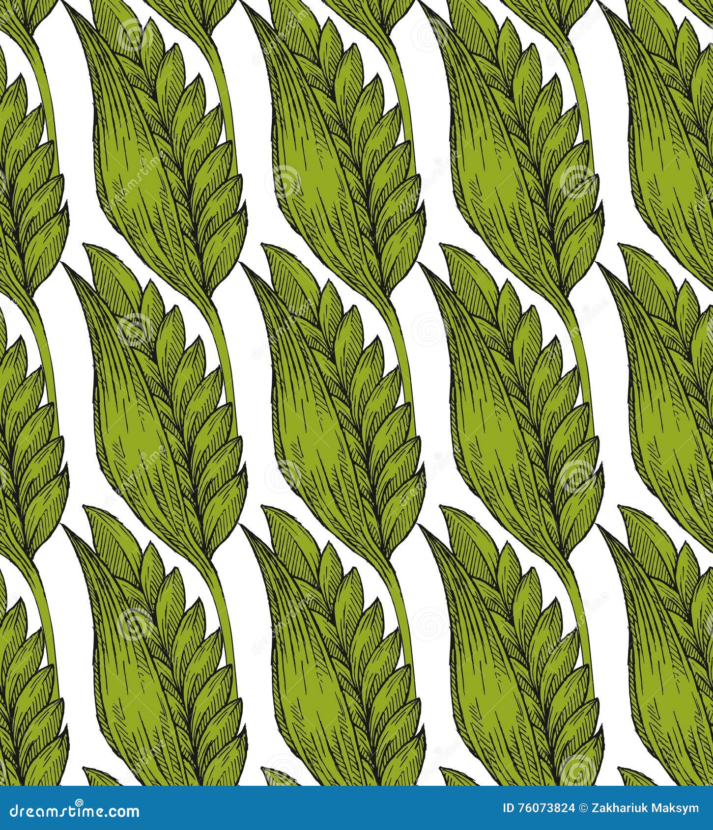 Wheat grass stock vector. Illustration of grain, cereal - 76073824