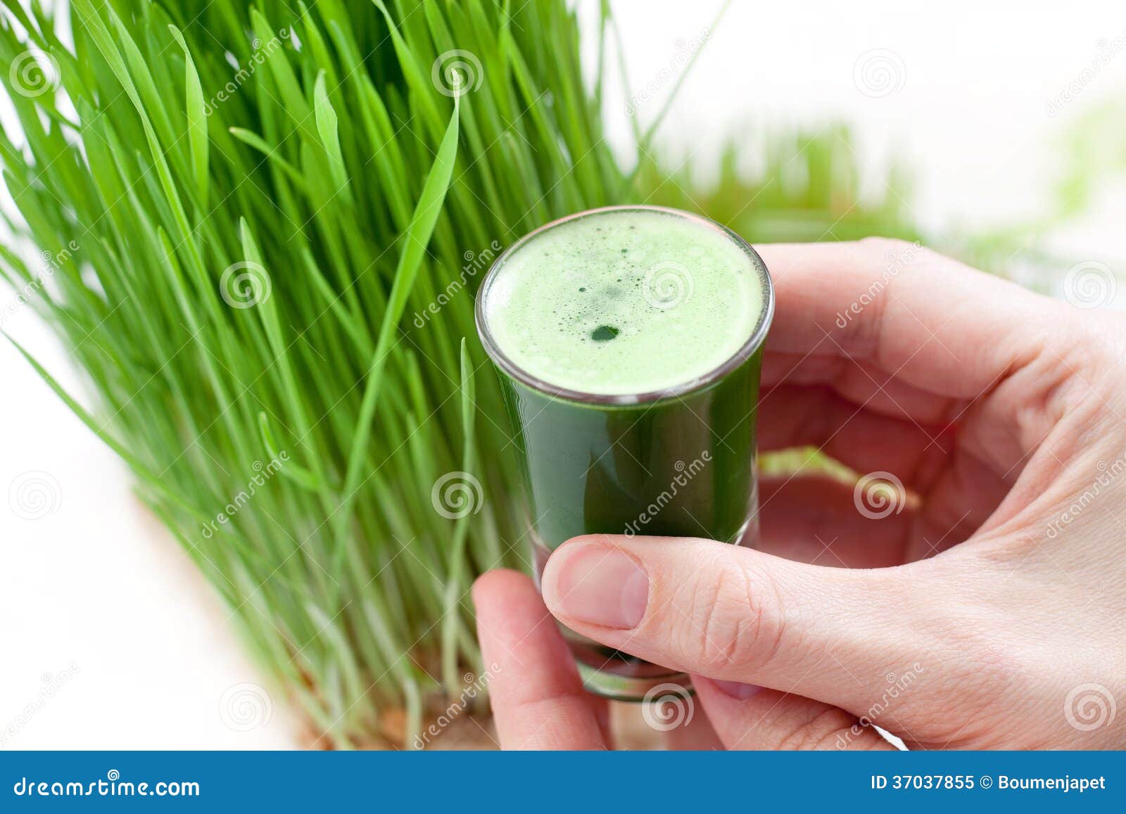 Wheat grass juice stock image. Image of beverage, fresh - 37037855