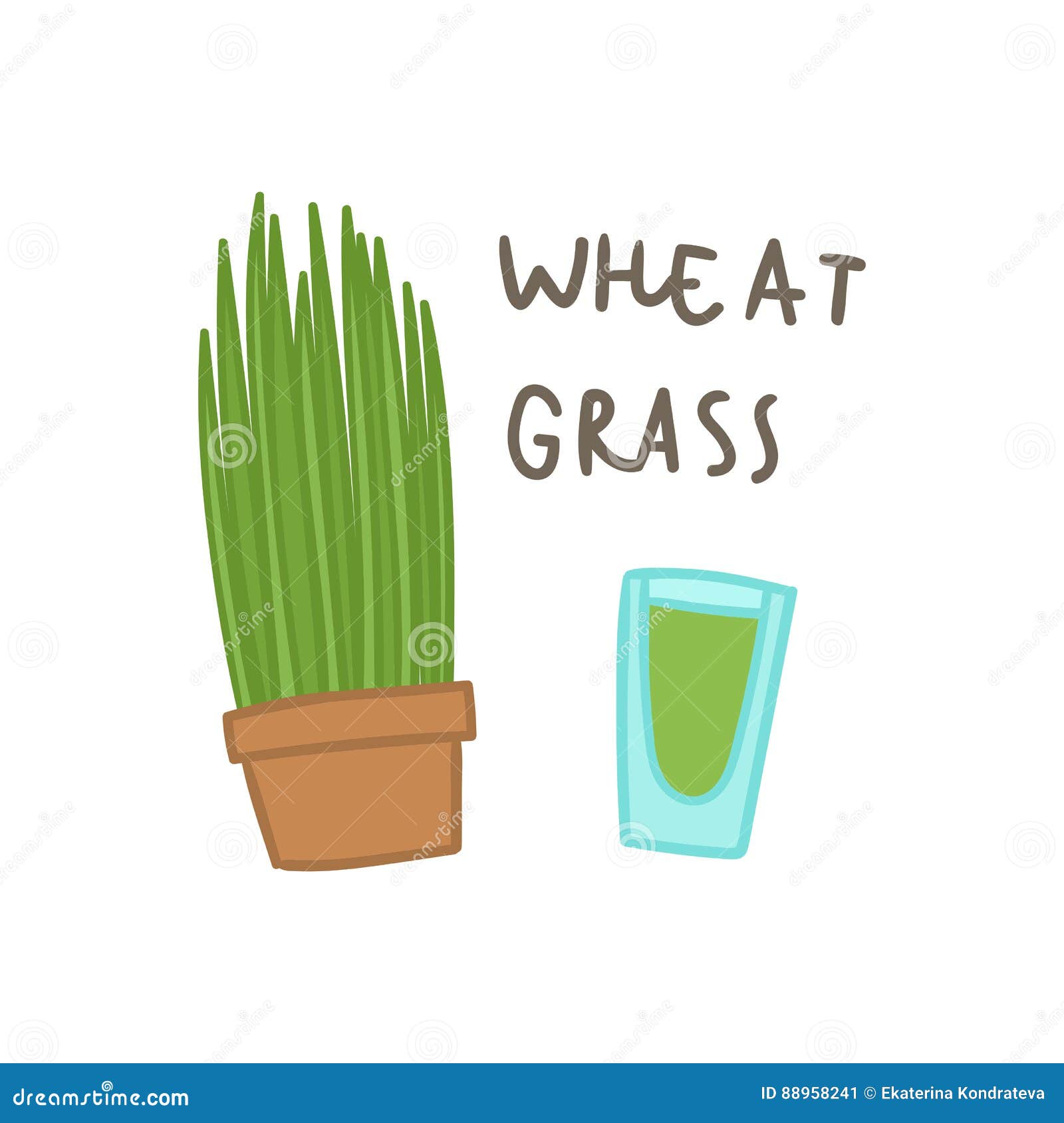 Wheat grass superfood. stock vector. Illustration of growth - 88958241