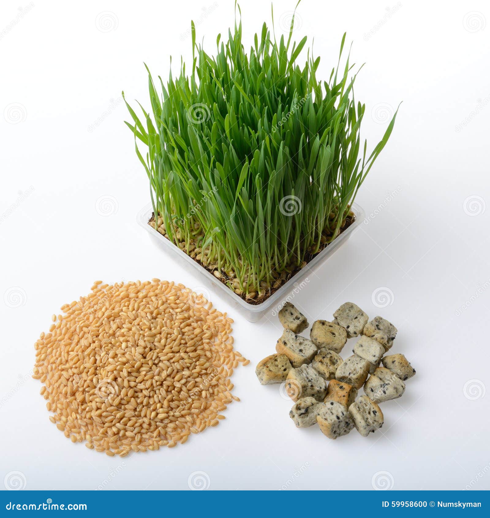 Rye Grass. Whole, Barley, Harvest Wheat Sprouts. Wheat Grain Ear Or Rye ...