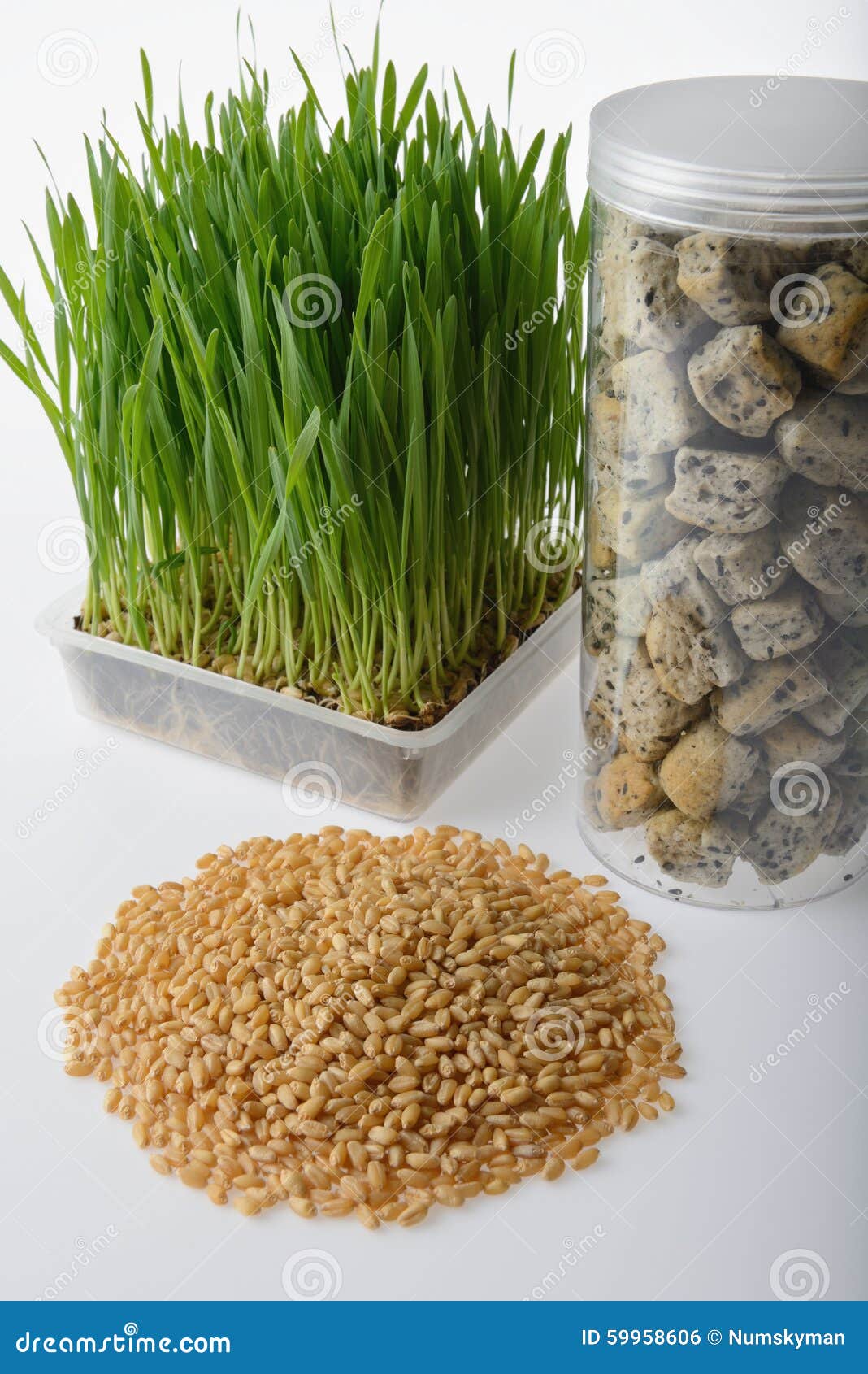 Rye Grass. Whole, Barley, Harvest Wheat Sprouts. Wheat Grain Ear Or Rye ...