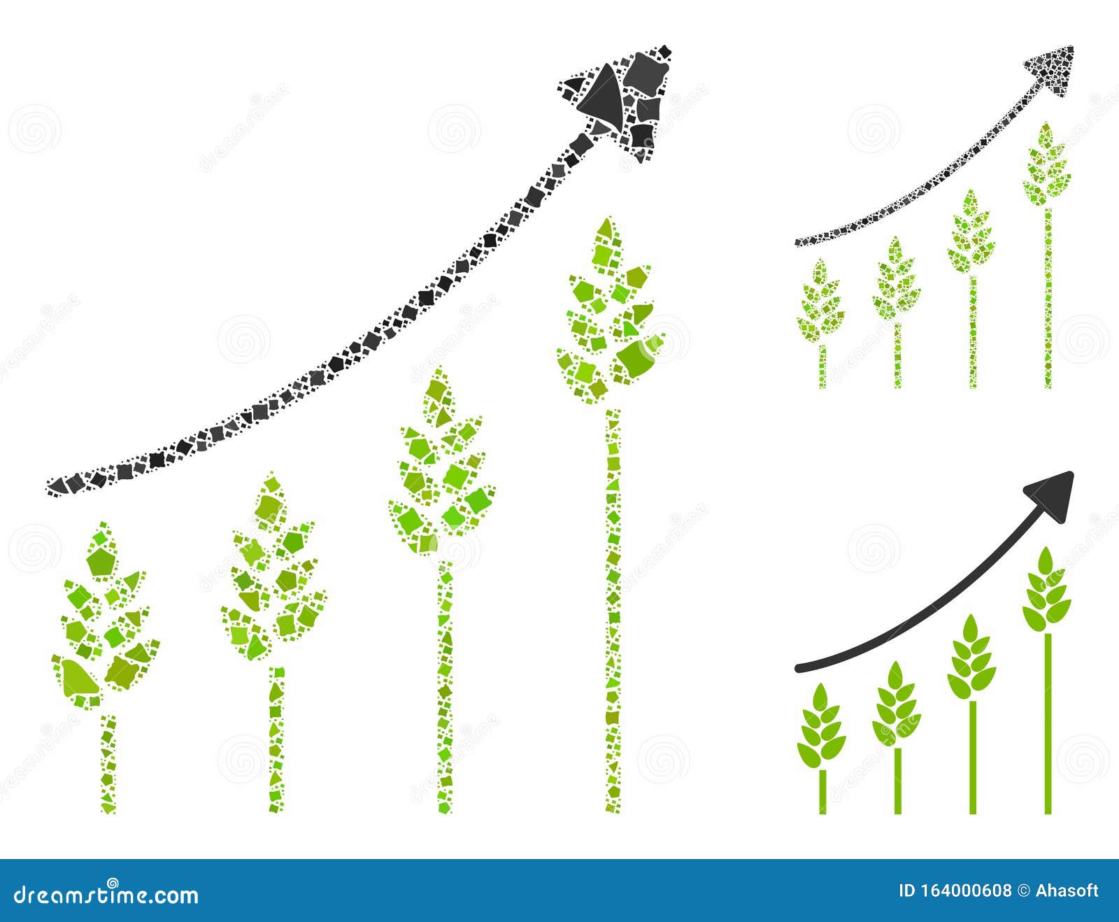 Wheat Growing Stages, Life Cycle Of Wheat Plant Infographic Elements In ...