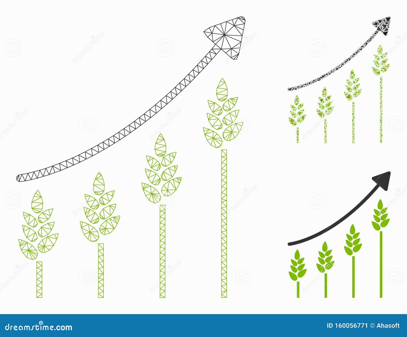 Wheat Growing Stages, Life Cycle Of Wheat Plant Infographic Elements In ...