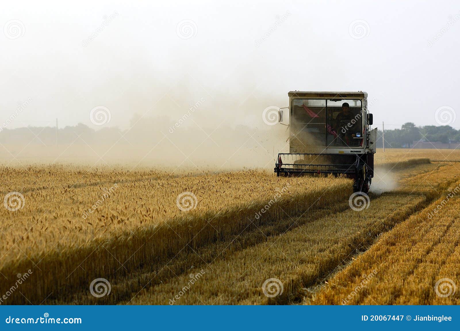 Wheat harvest editorial photography. Image of efficiency - 20067447