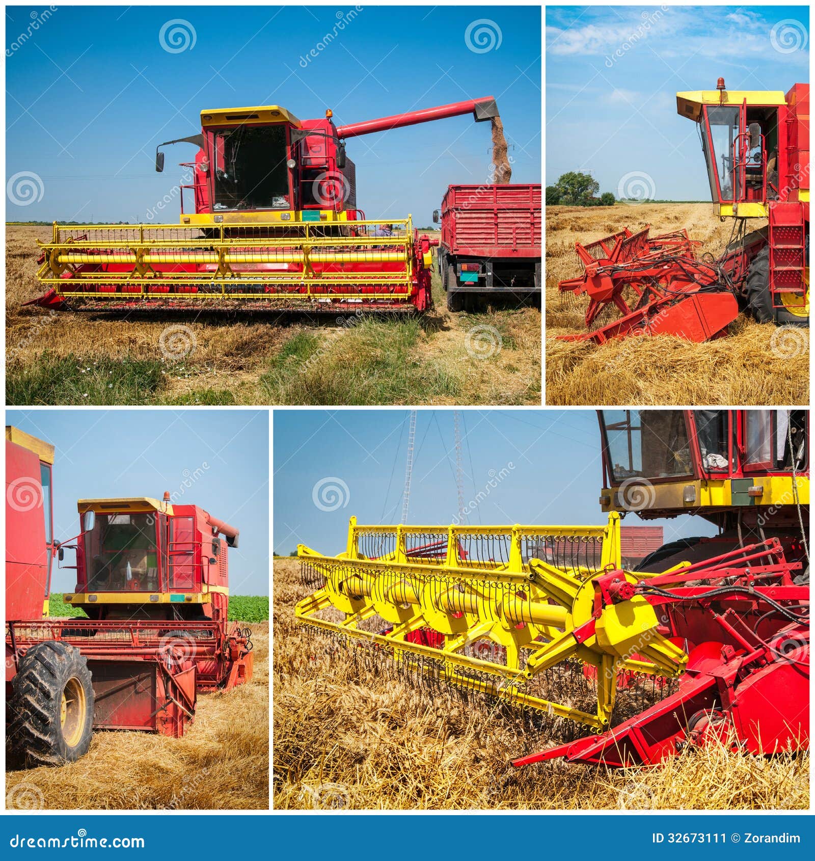 Wheat harvest collage stock image. Image of plant, grow - 32673111