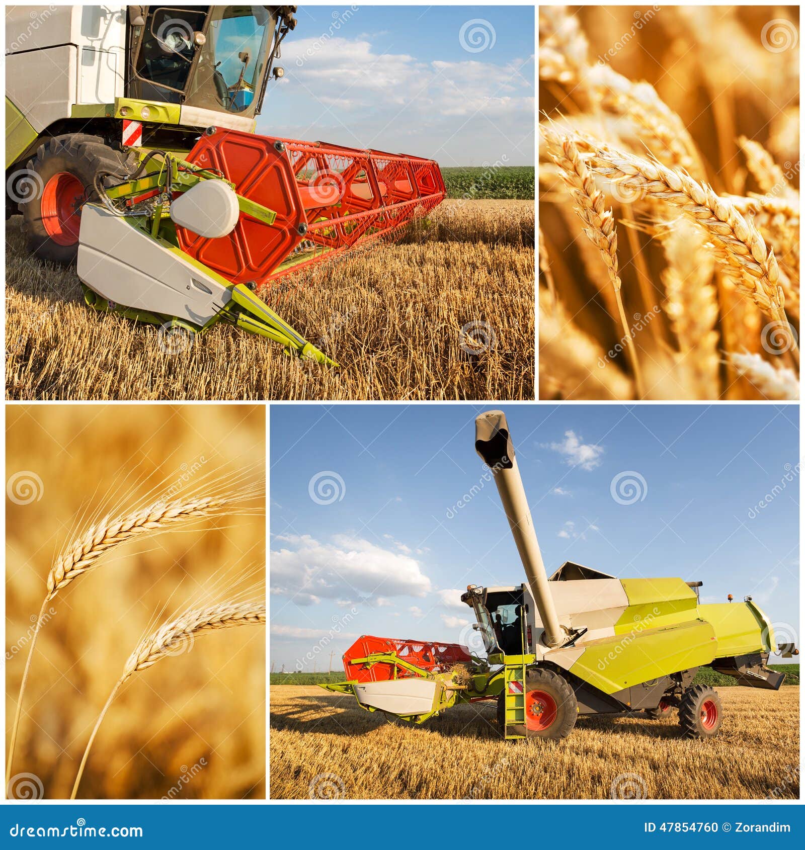 Wheat harvest - collage stock photo. Image of combine - 47854760