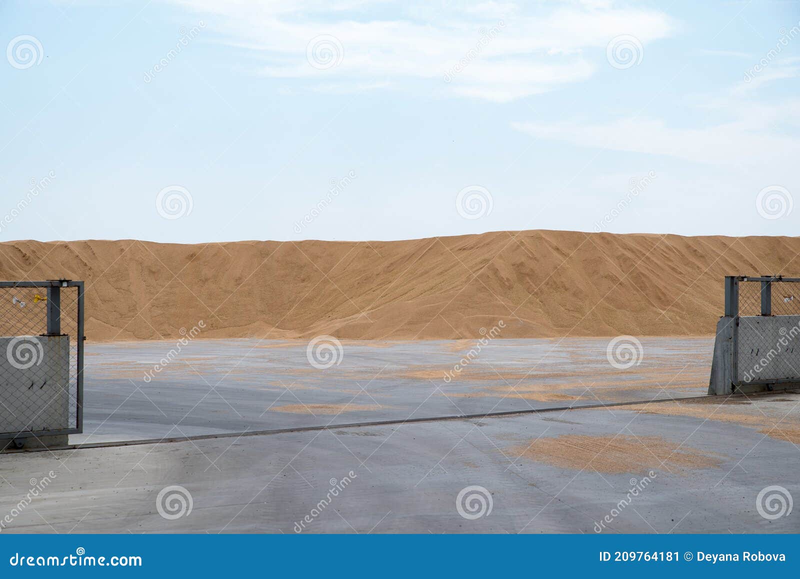 Wheat Harvest Folded into a Big Pile. Stock Image - Image of mound ...