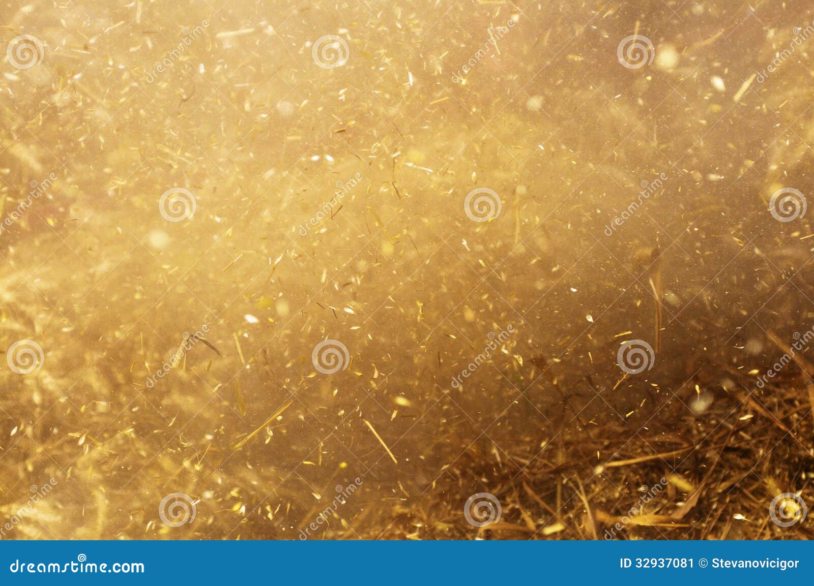 Wheat harvest stock image. Image of chaos, particles - 32937081