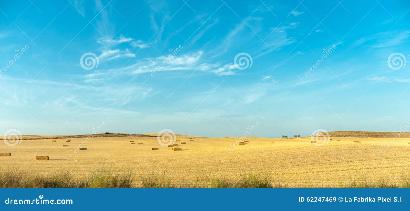 Wheat harvest in Spain d stock image. Image of land, sunny - 62247469