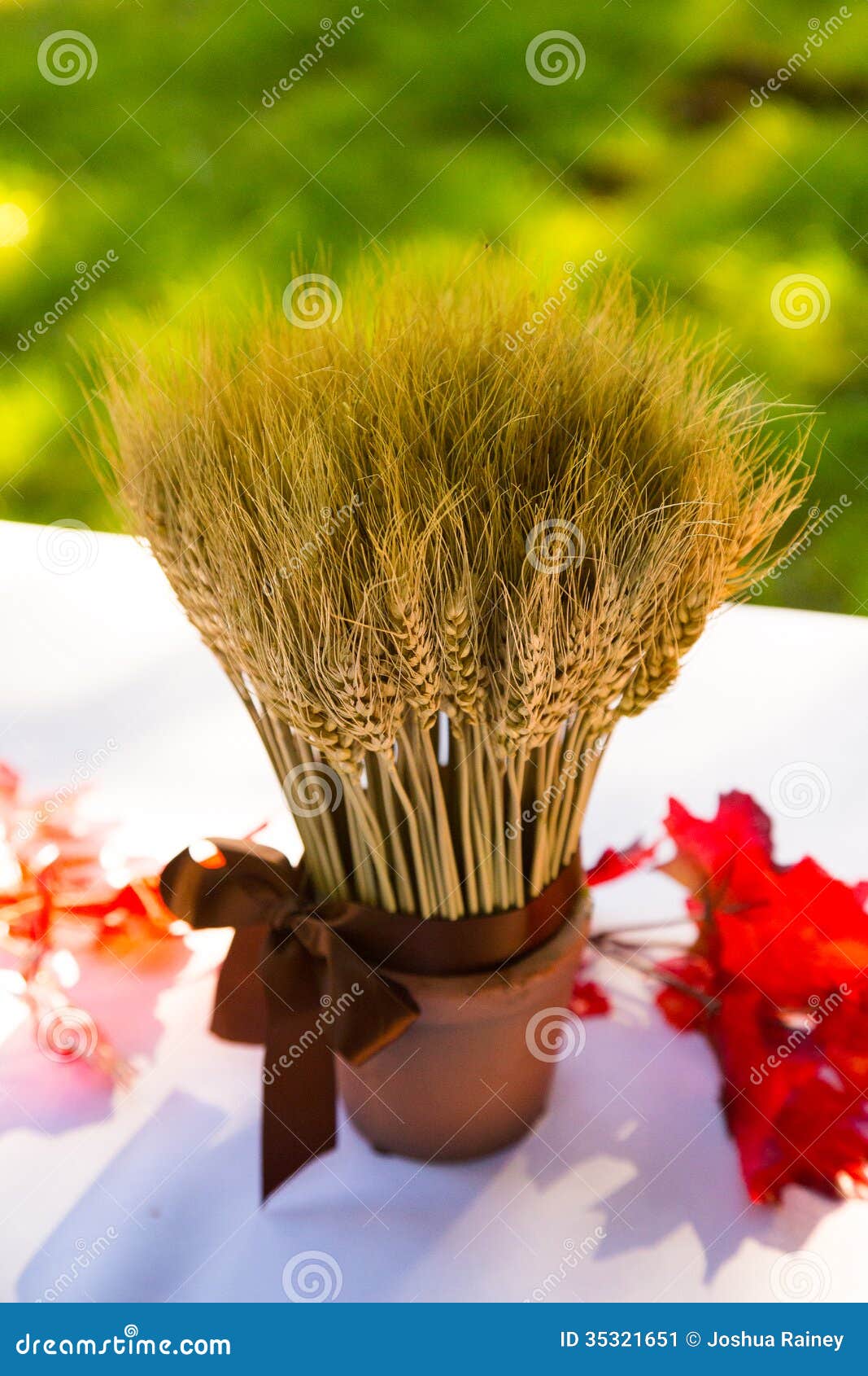 Wheat Harvest Wedding Decor Stock Image - Image of oats, wedding: 35321651