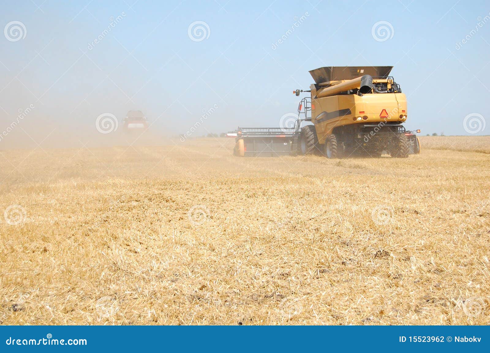 Wheat harvesting stock photo. Image of grain, summer - 15523962