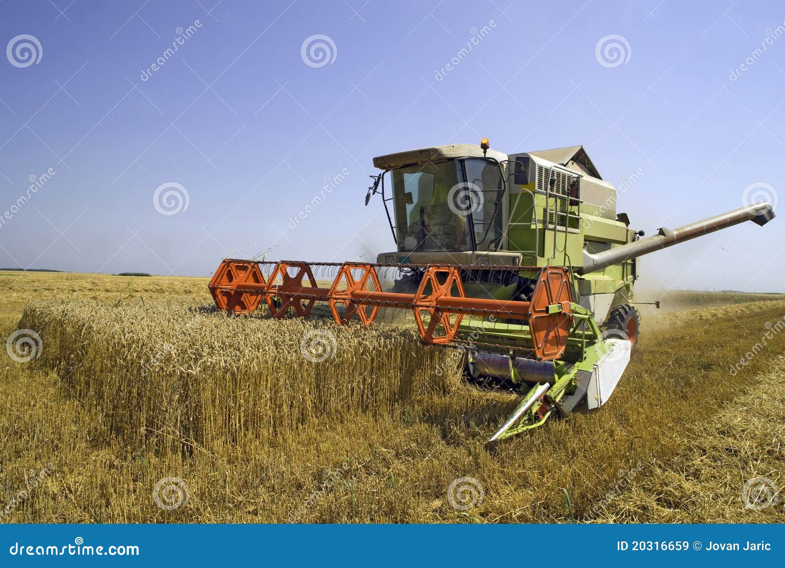 Wheat harvesting stock image. Image of stem, landscape - 20316659