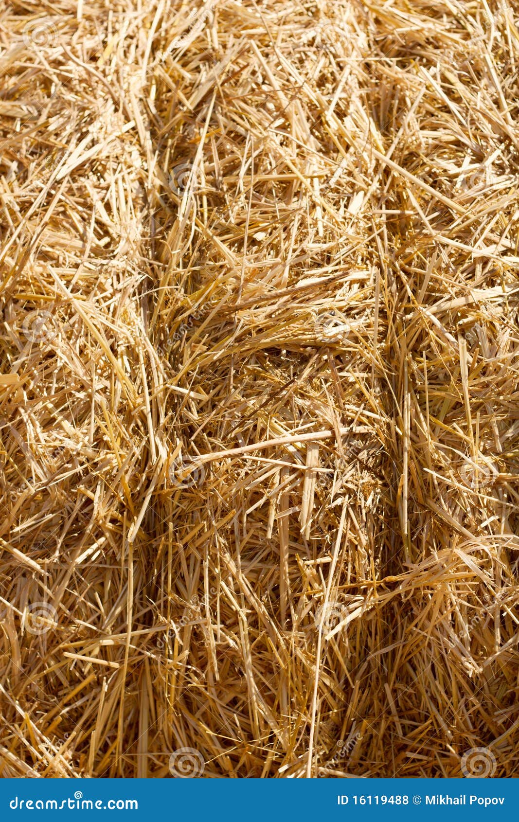 Wheat Haystacks Background. Stock Photo - Image of bale, gold: 16119488