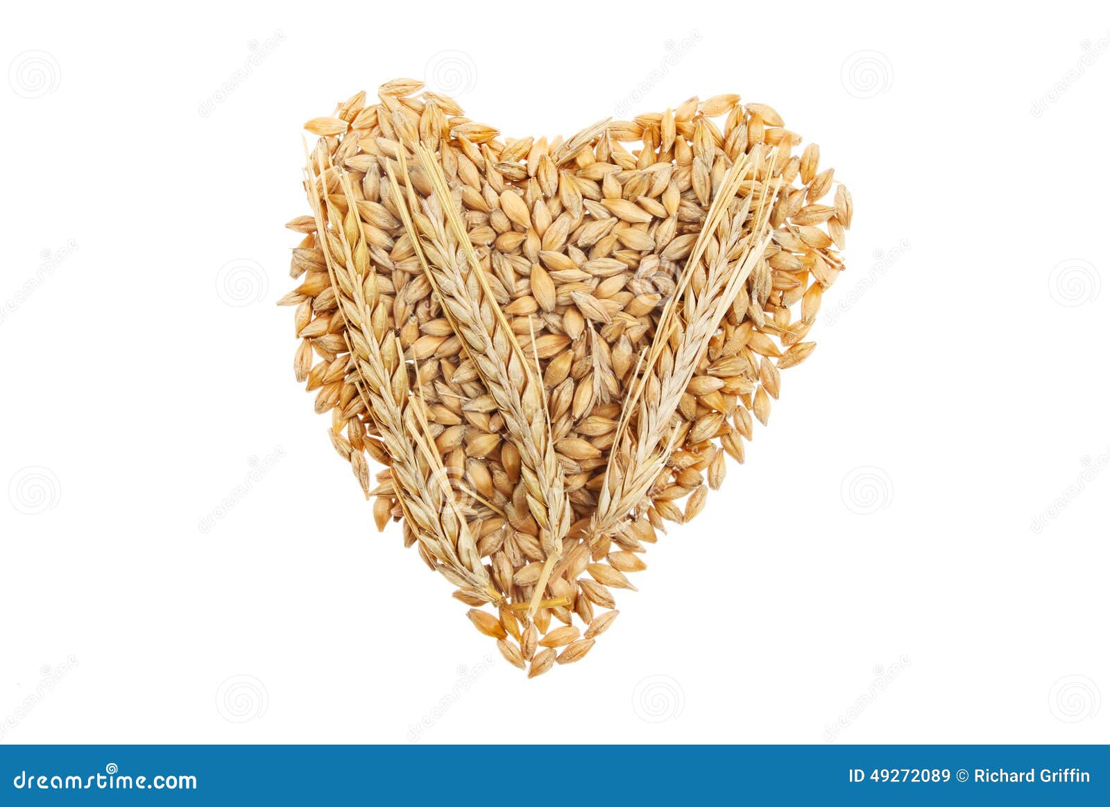 Wheat heart stock image. Image of cereal, grain, wheat - 49272089