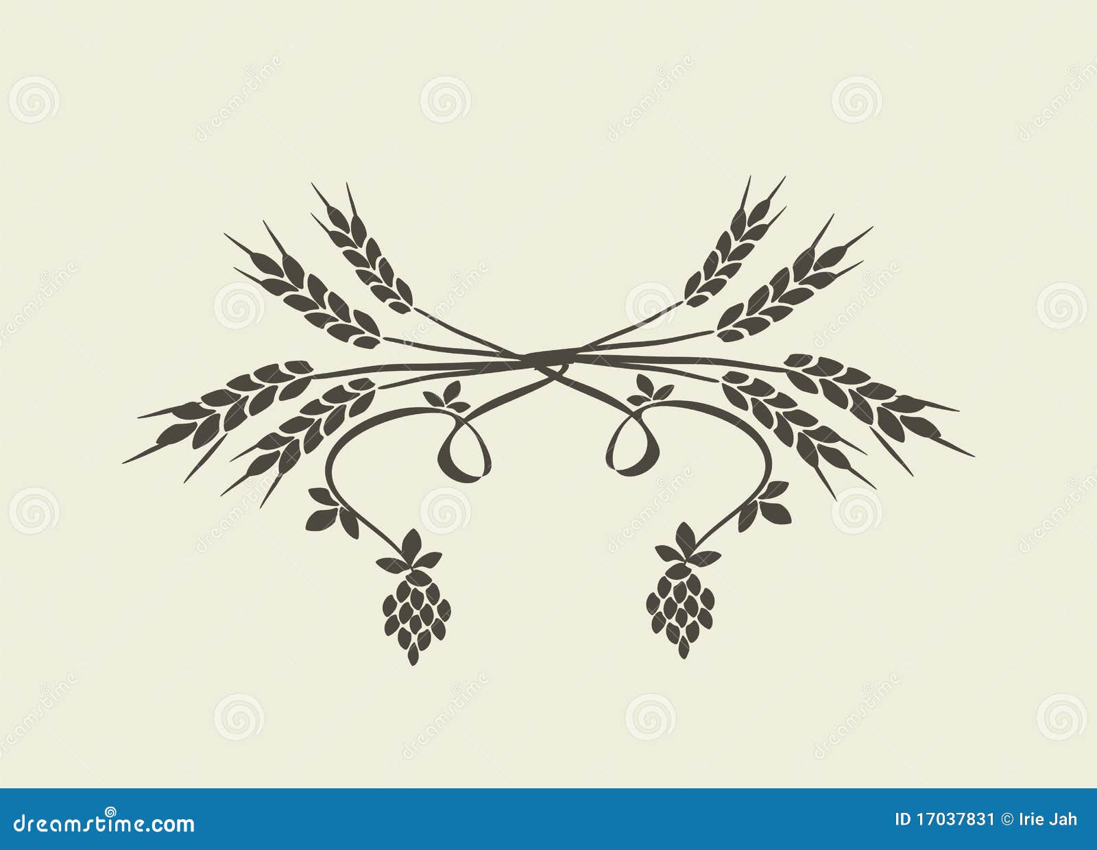 WHEAT and HOP stock illustration. Illustration of track - 17037831