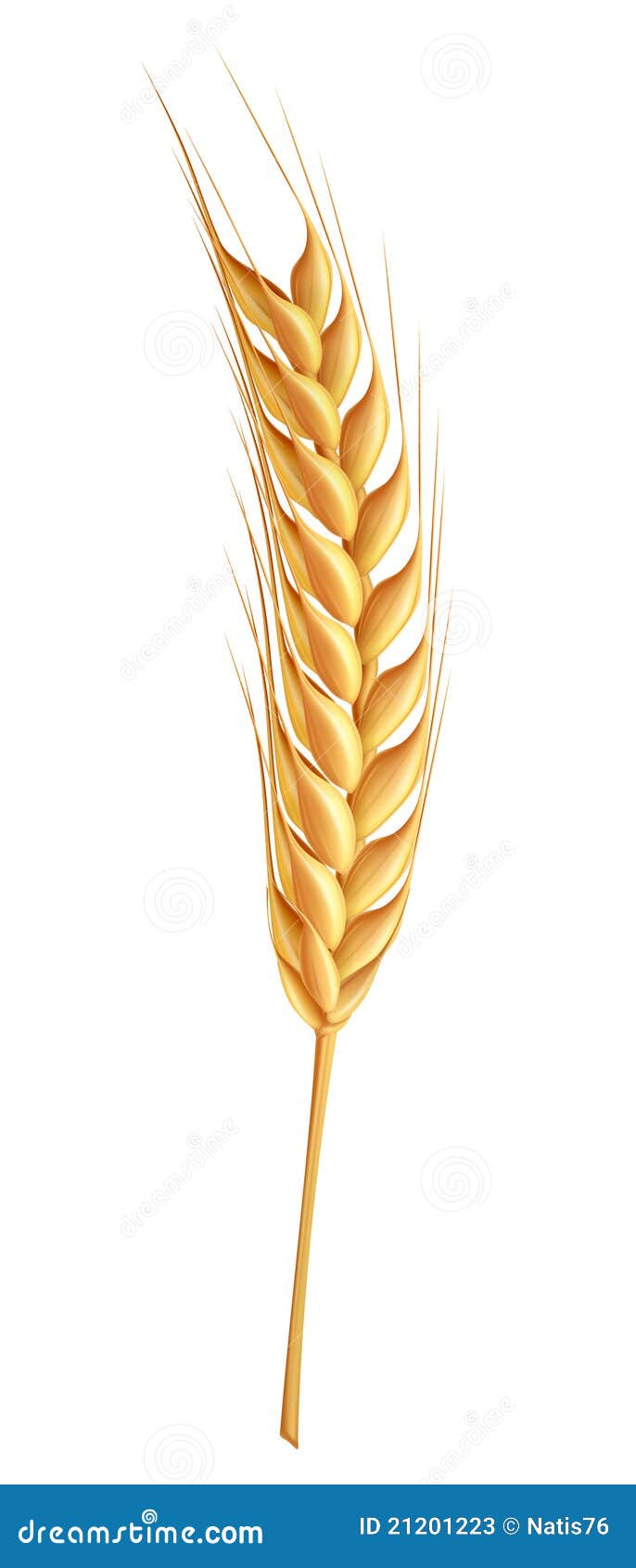 Wheat Cartoons, Illustrations & Vector Stock Images - 263996 Pictures ...