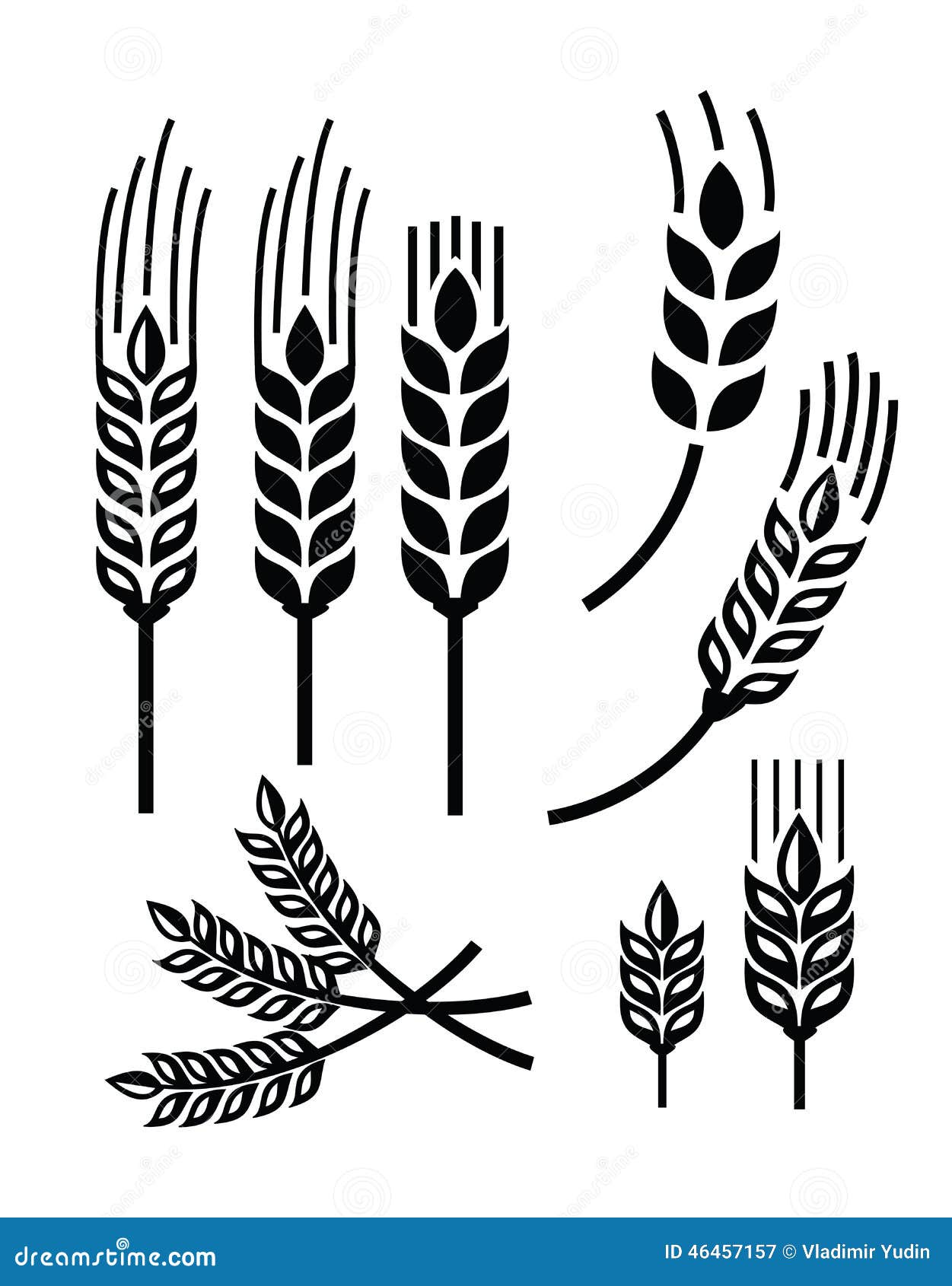 Wheat Cartoon Vector | CartoonDealer.com #20033697