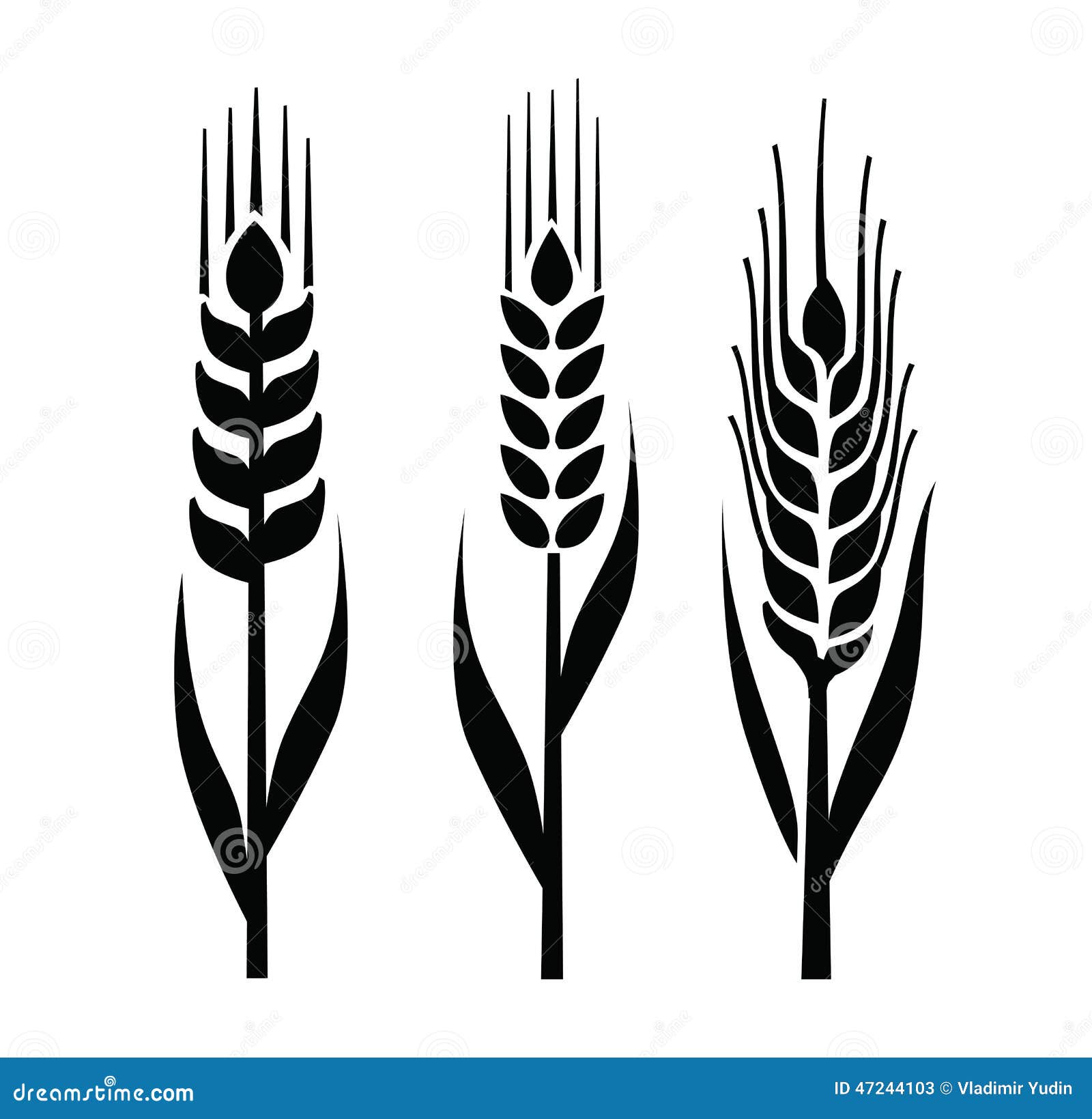 Wheat icon stock vector. Illustration of natural, element - 47244103