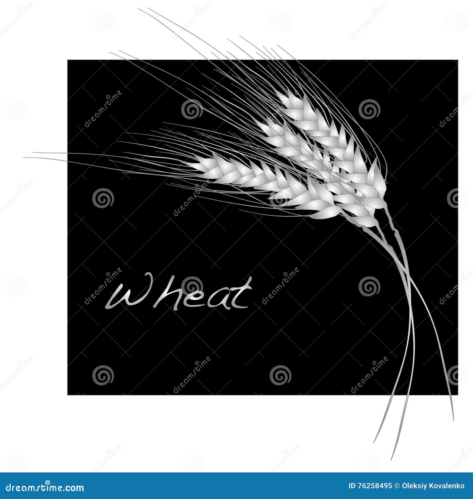 Wheat illustration stock illustration. Illustration of grain - 76258495