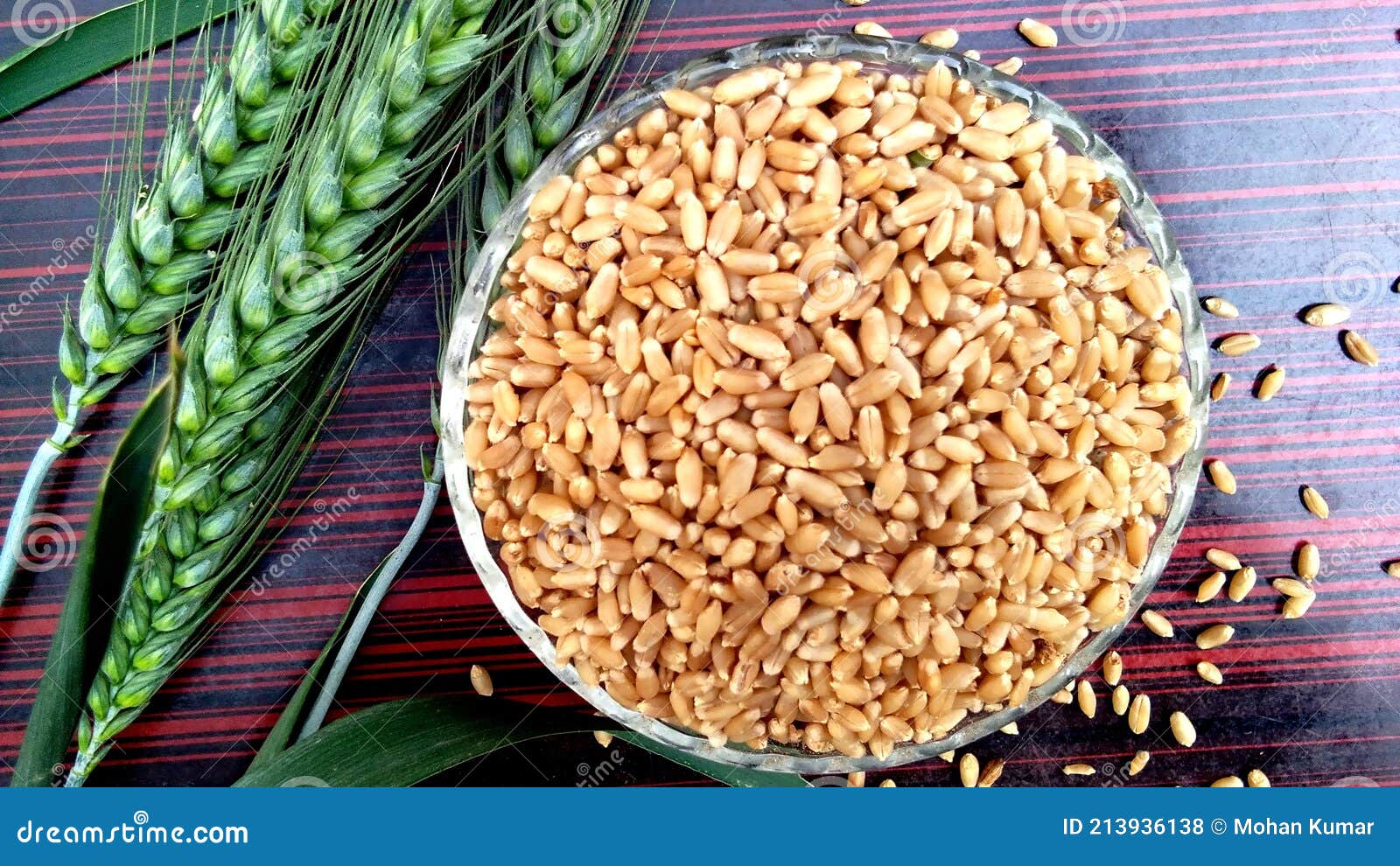 A Bowl of Wheats and Green Buds Stock Photo - Image of high, amino ...