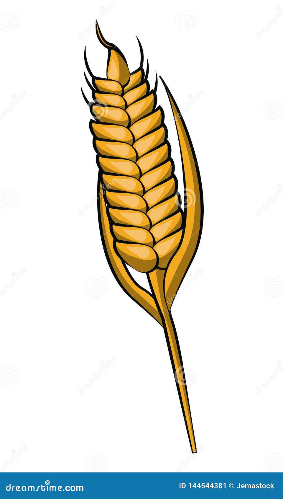 Wheat isolated cartoon stock vector. Illustration of grain - 144544381