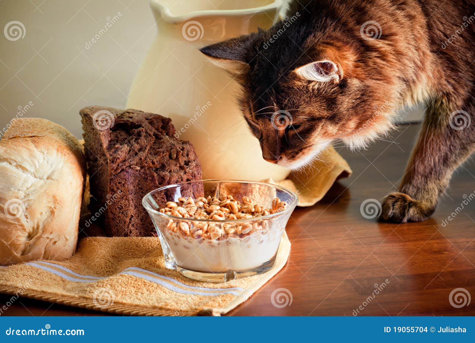 Wheat and milk stock photo. Image of farm, mixed, meadow - 19055704