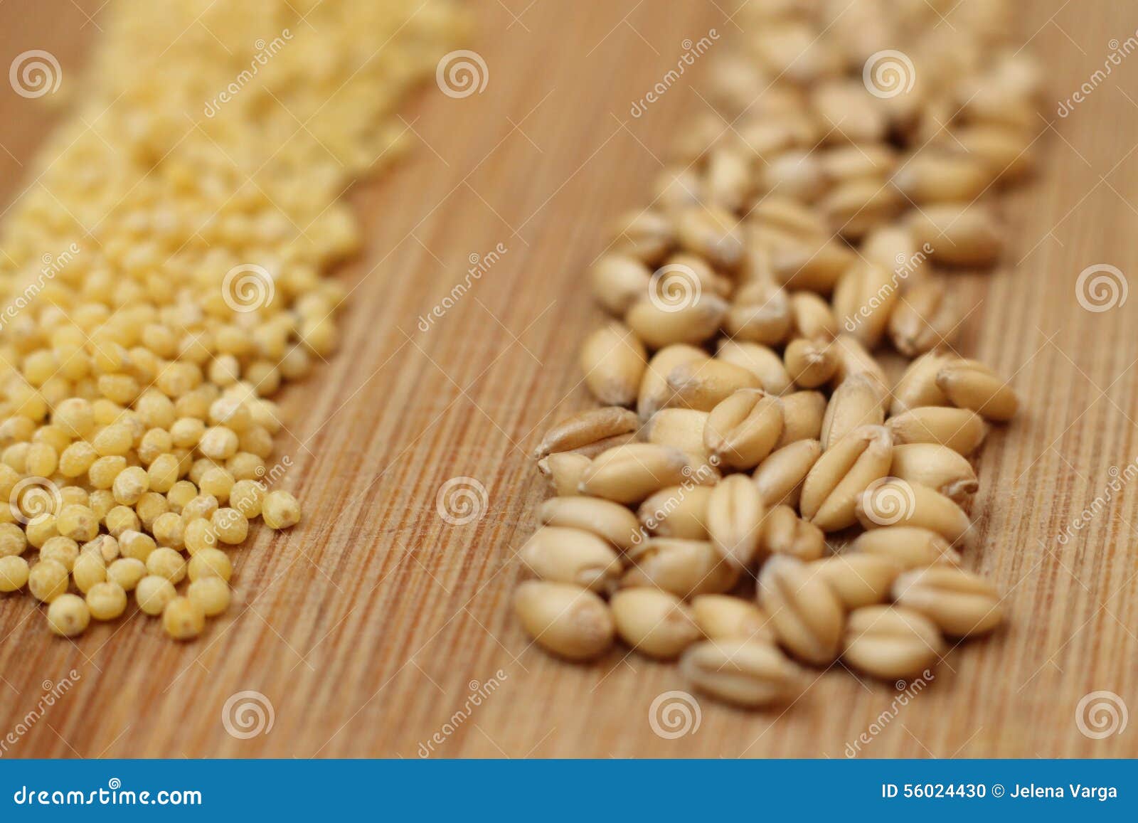 Wheat and millet stock photo. Image of brown, diet, agriculture - 56024430