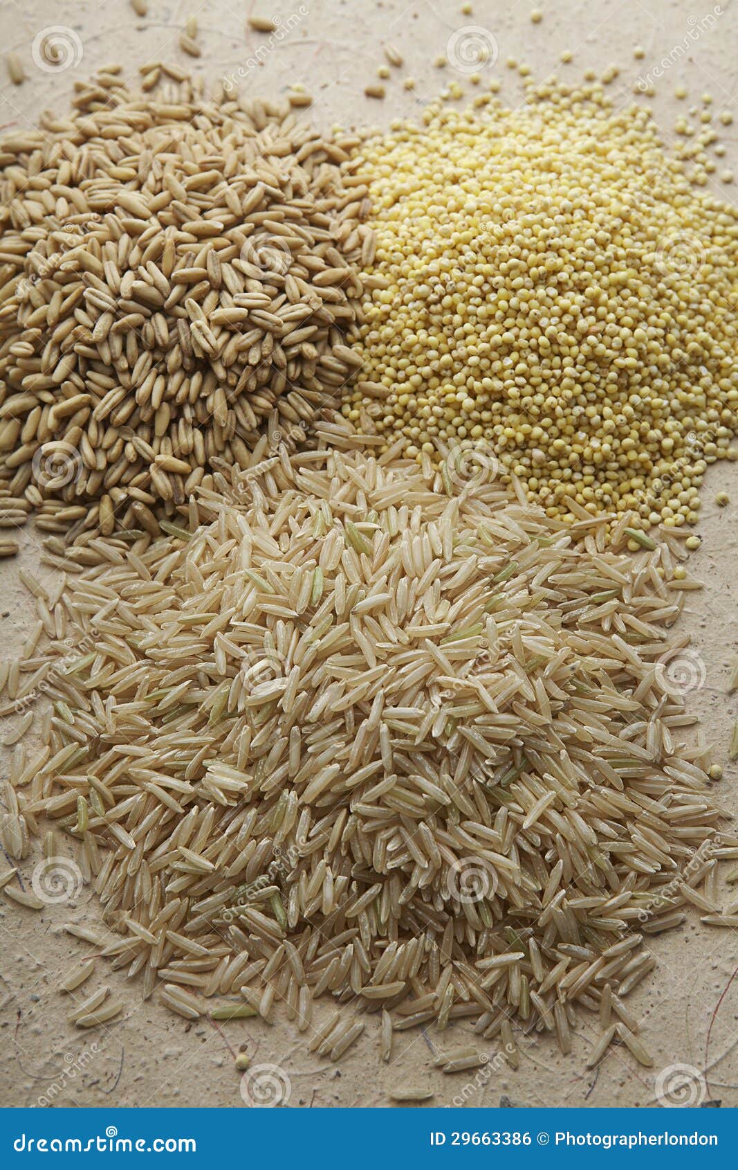 Wheat and Oat Grains with Brown Rice Stock Photo - Image of heap ...